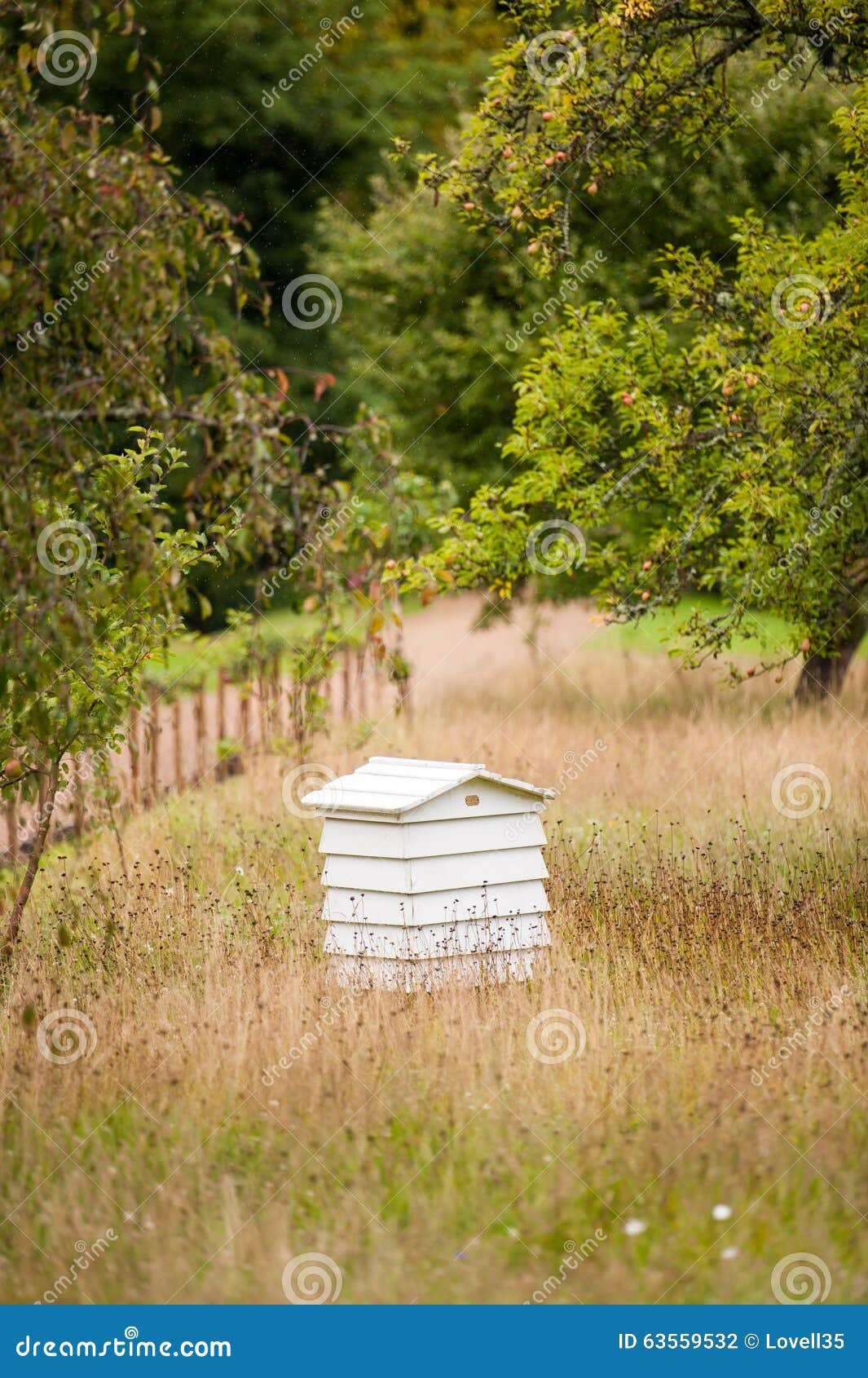 Bee hive in garden stock photo. Image of outside, photograph - 63559532