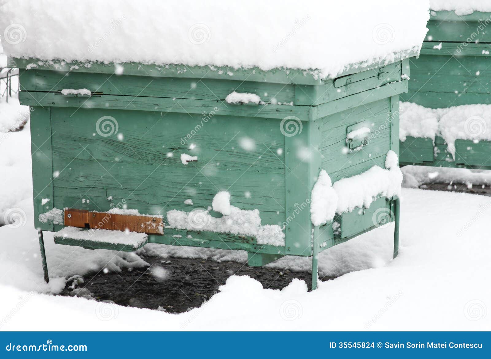 Bee hive hibernating stock photo. Image of blue, colourful - 35545824