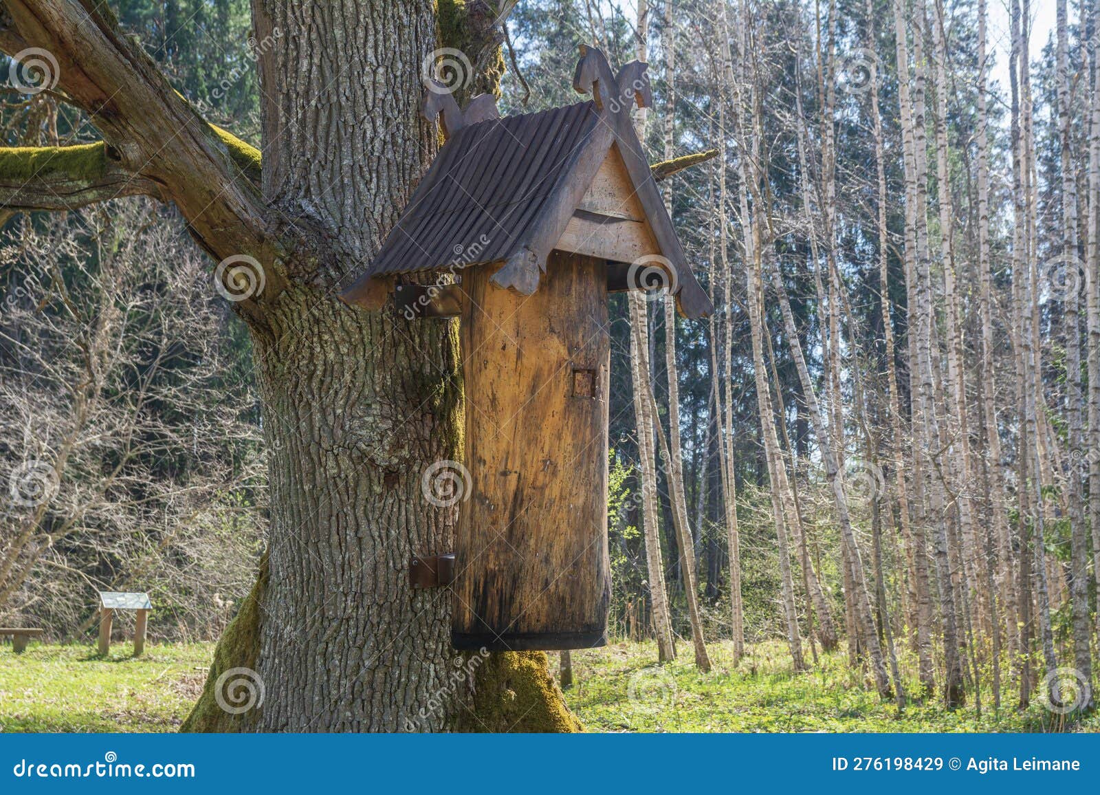 Bee Hive Made from a Trunk . Stock Image - Image of oaktree, trees ...
