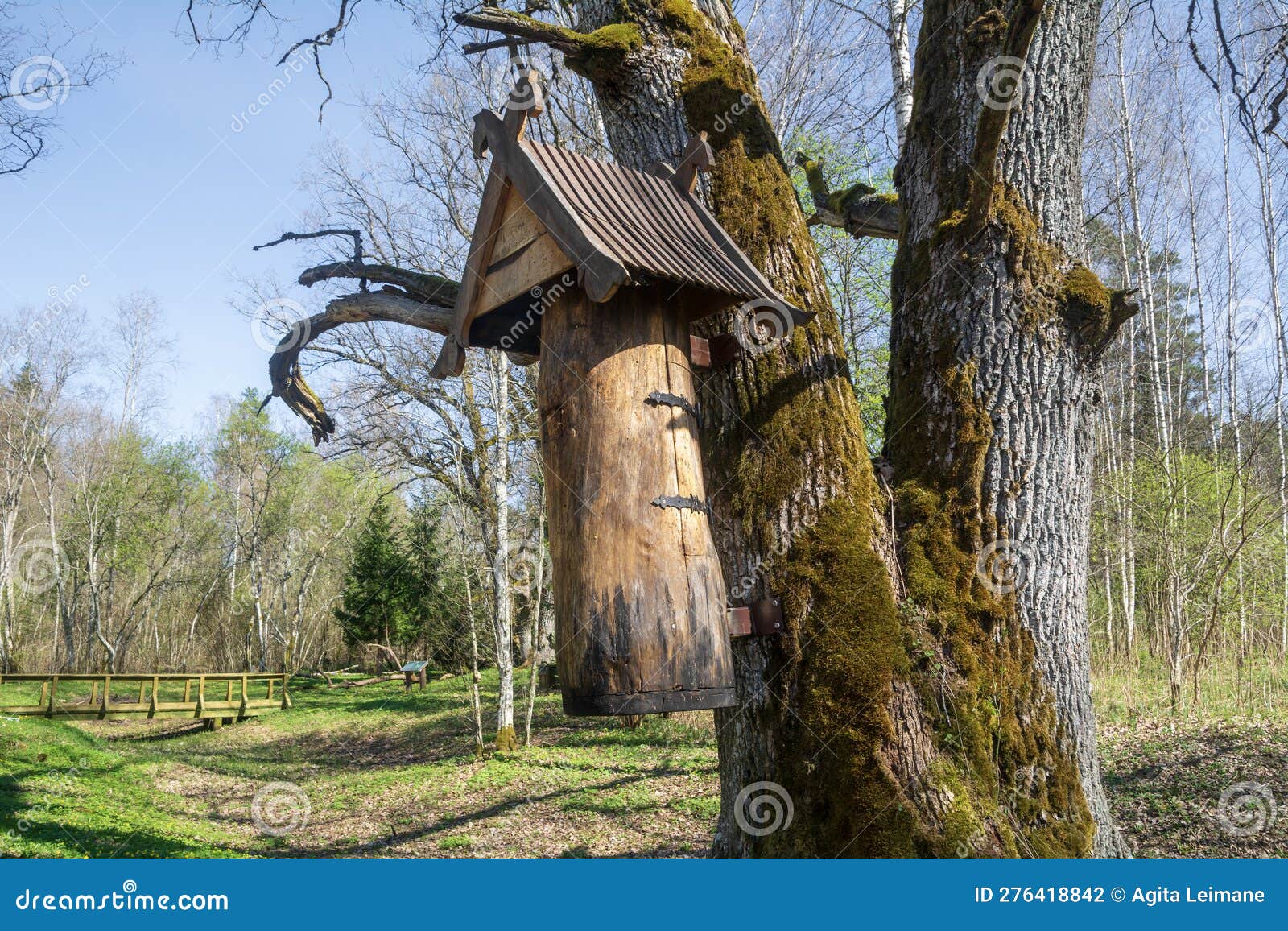 Bee Hive Made from a Trunk . Stock Photo - Image of forest, nature ...