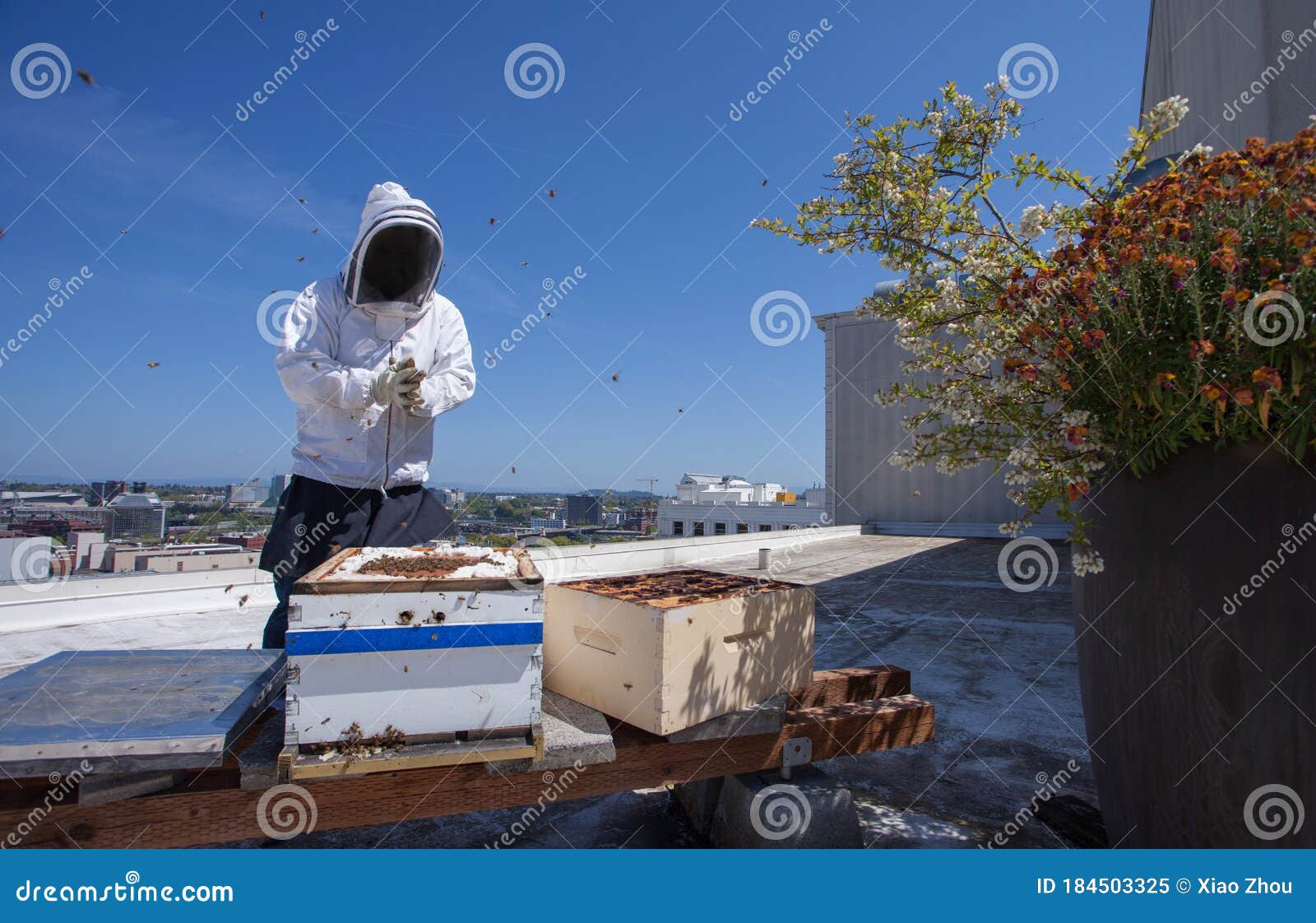Bee hive on the roof stock image. Image of nature, lifestyle - 184503325