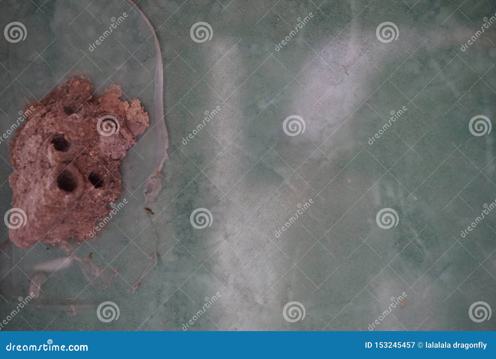 Bee Hive on the Rust Broken Wall Stock Image - Image of soiled, hole ...