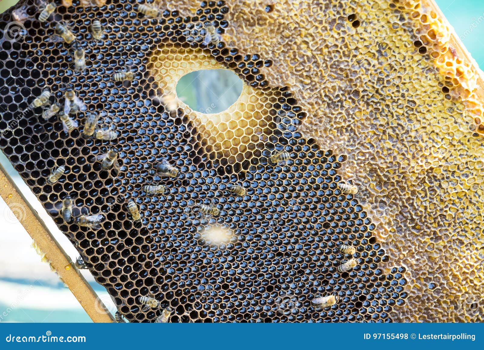 The Bee Hive is Shot Close-up in the Summer Stock Photo - Image of ...