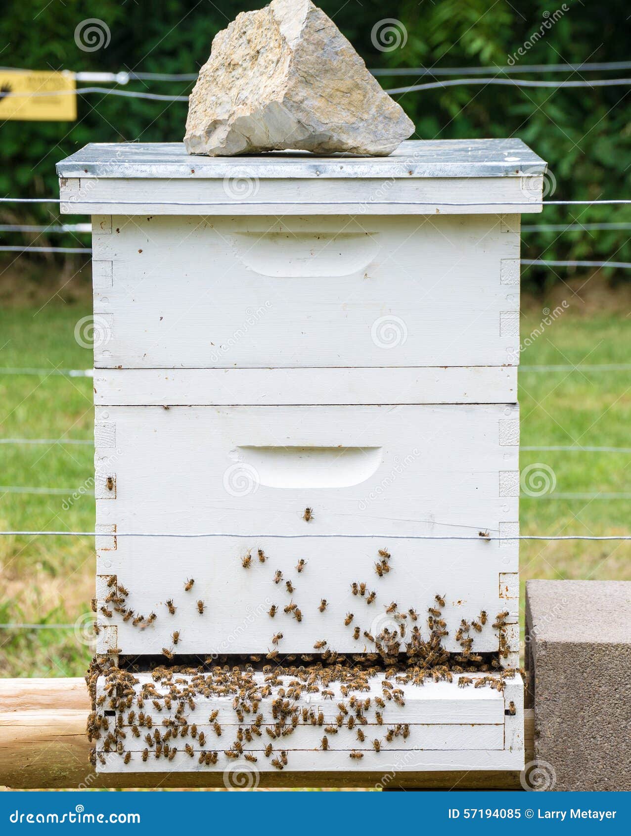Bee Hive stock image. Image of hives, boxes, beeswax - 57194085