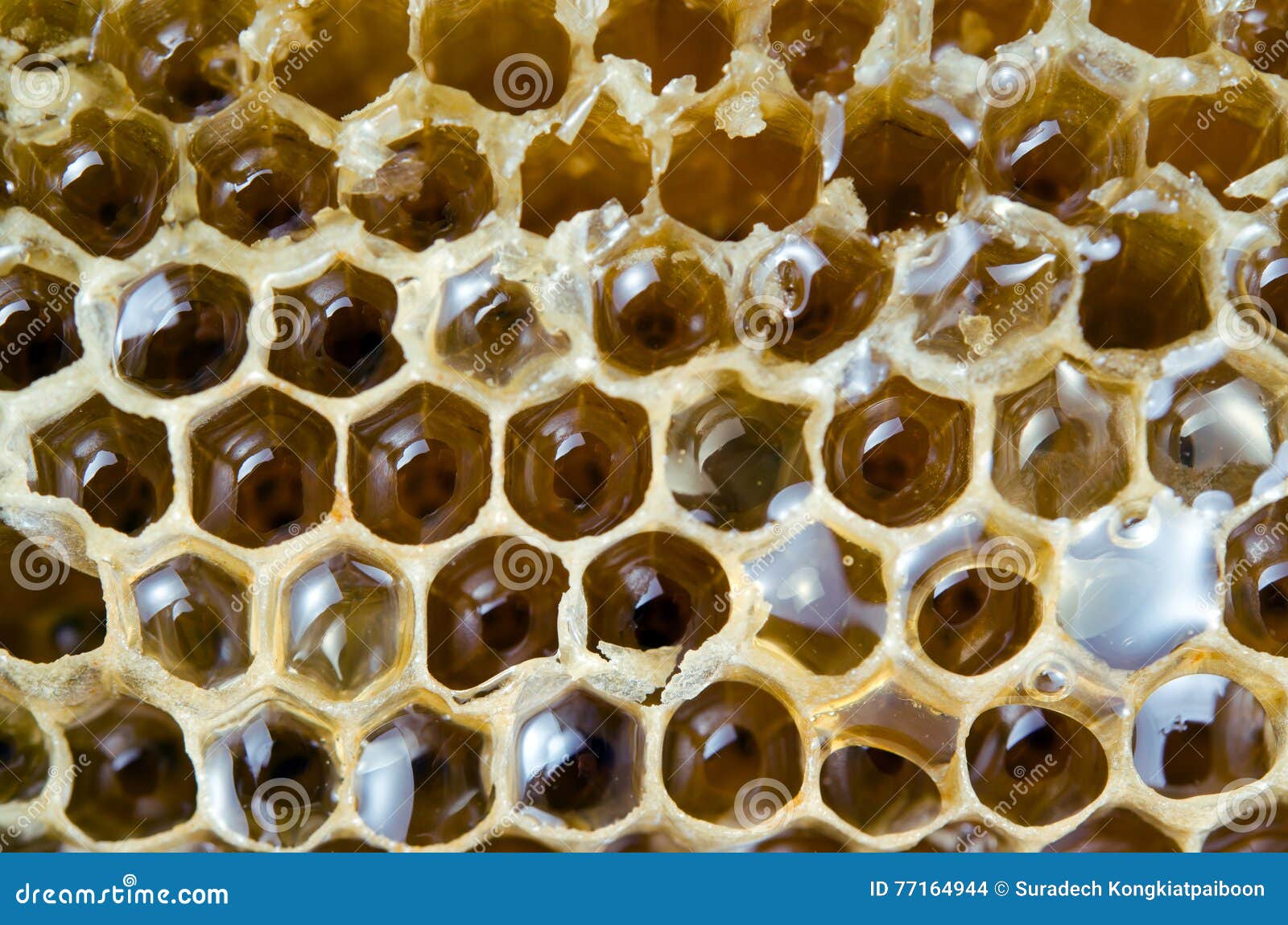 Bee Hive Texture with Honey Filled Stock Photo - Image of farm ...