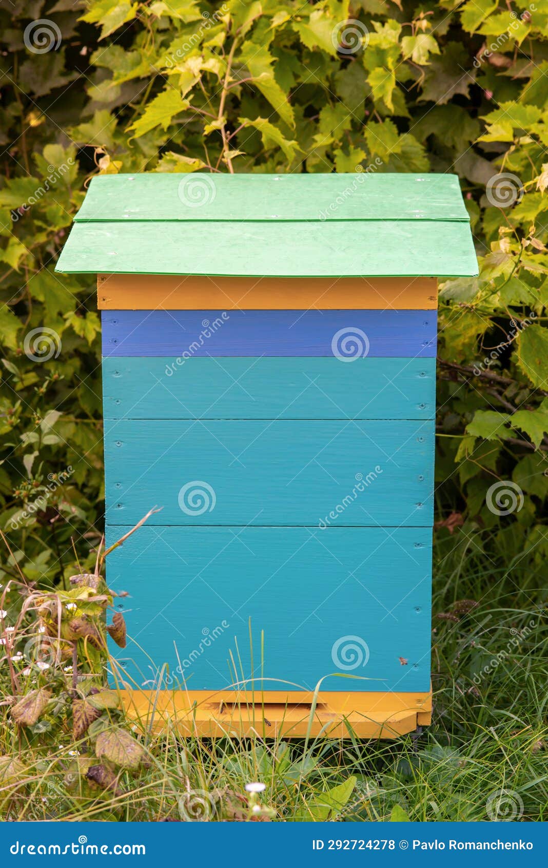 Bee Hive in the Village, Honey Production Stock Photo - Image of hive ...