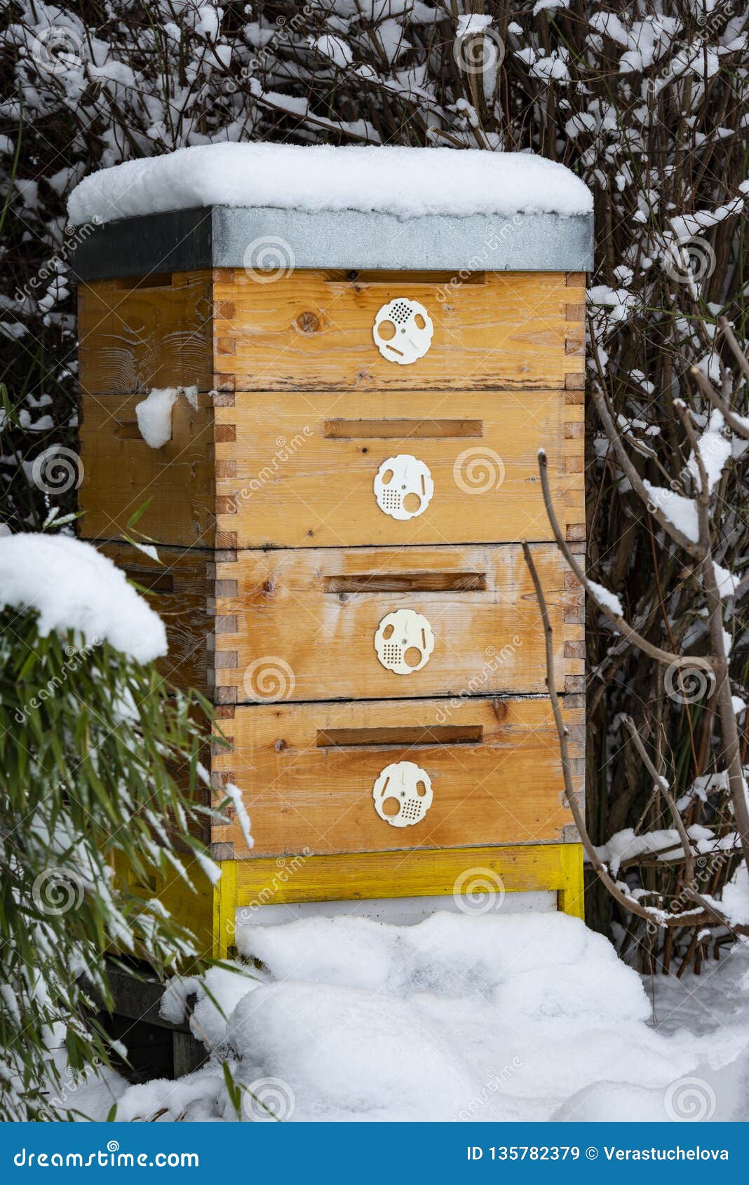 Bee hive in winter stock image. Image of colony, close - 135782379