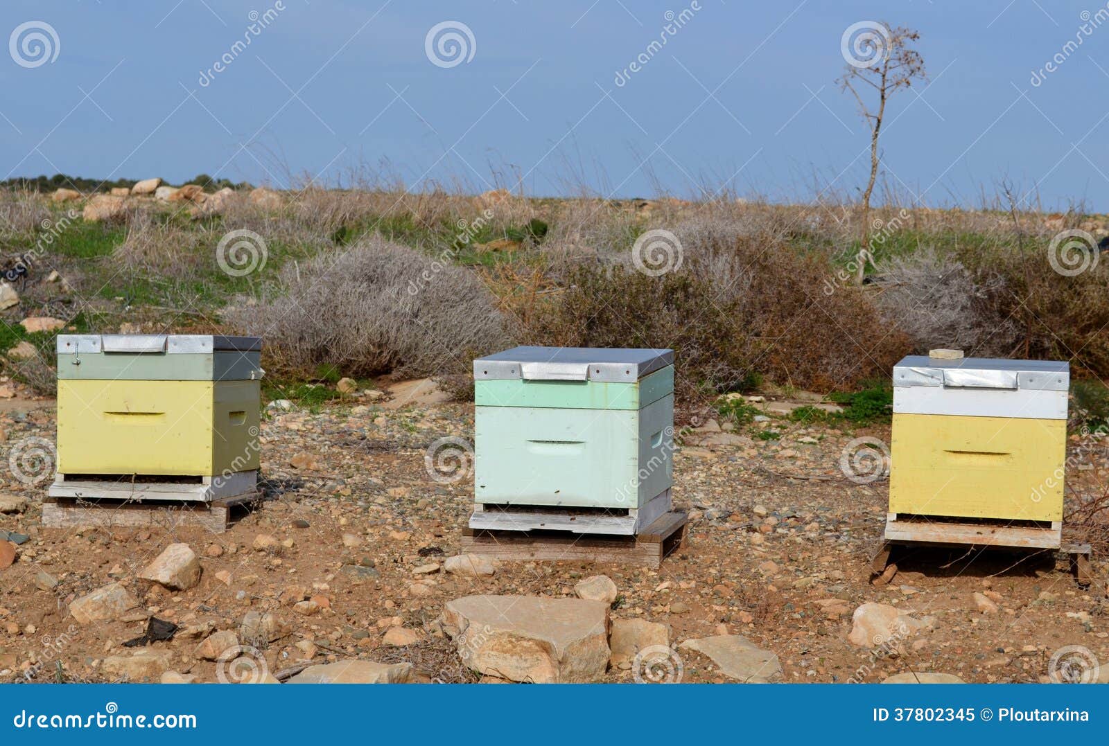 Bee hives stock image. Image of hives, village, cyprus - 37802345
