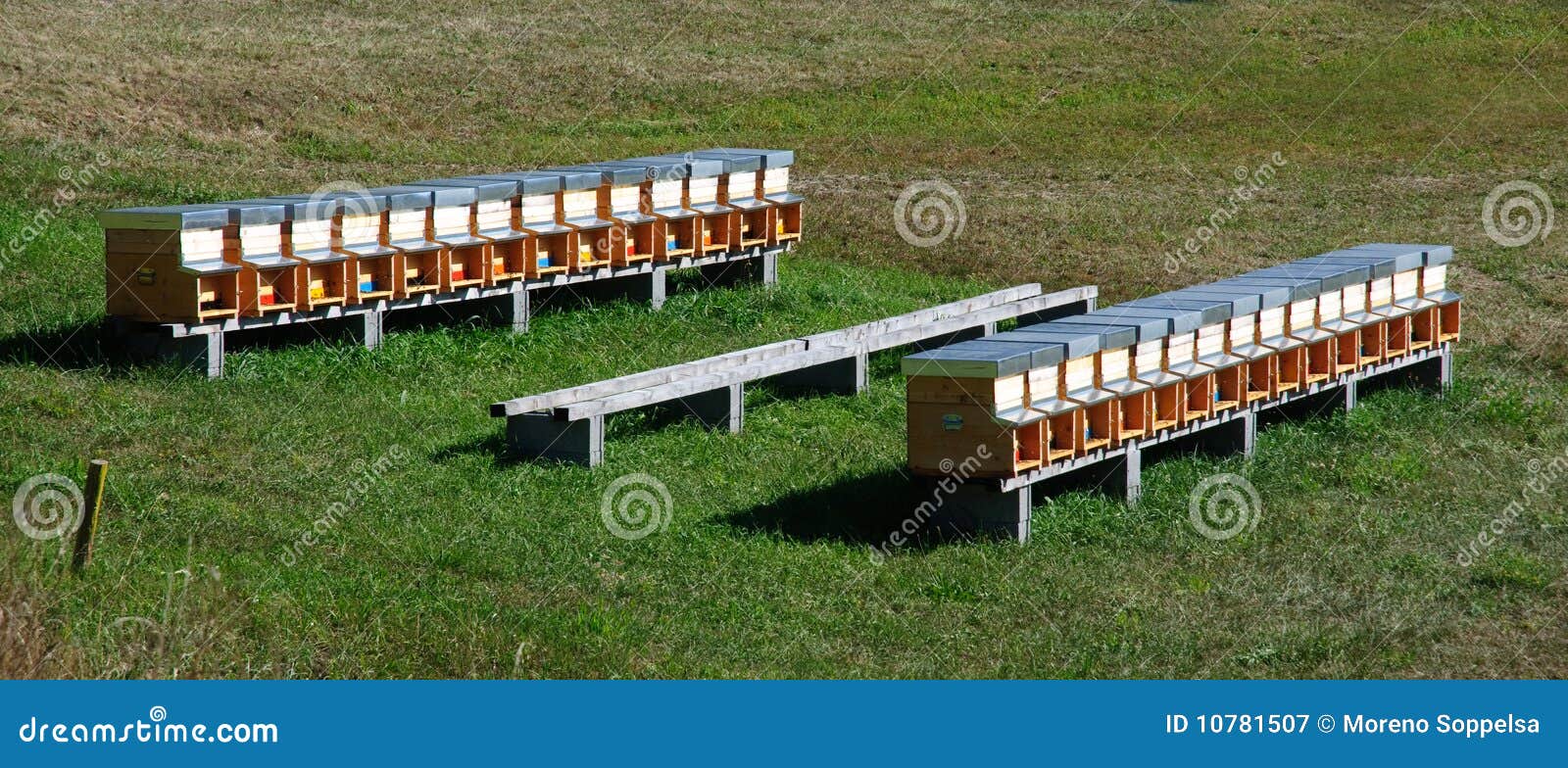 Bee Hives (apiary) in a Field Stock Image - Image of outdoor, insect ...