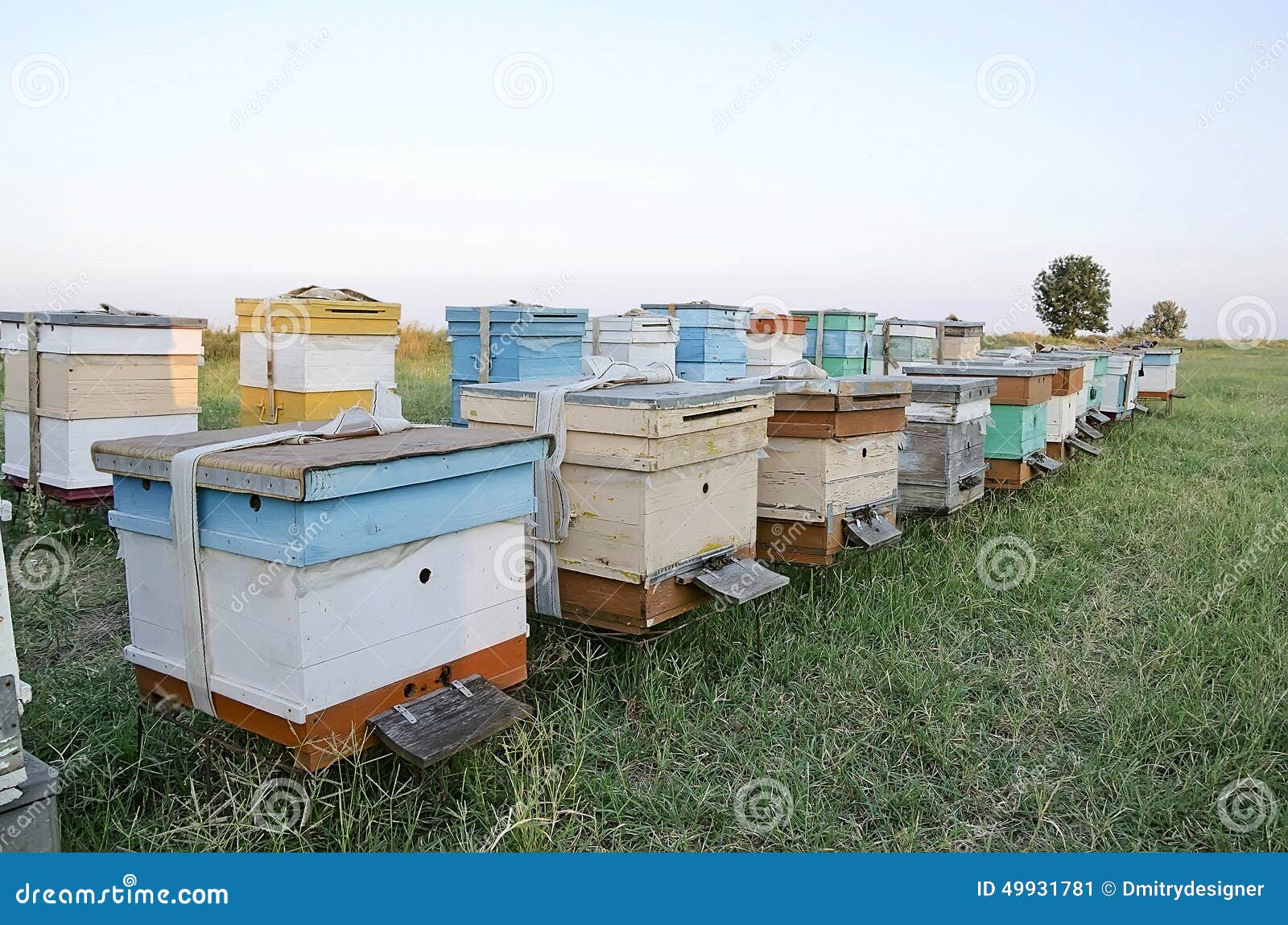 Bee Hives in the Apiary in the Field Stock Image - Image of nature ...