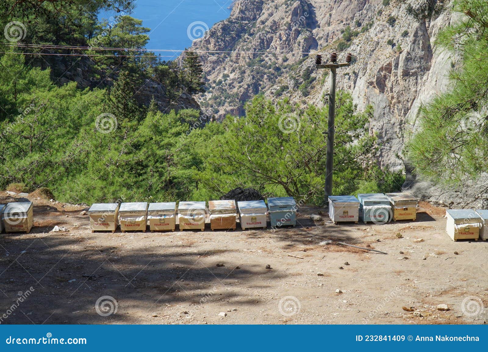 Bee Hives in an Apiary on the Southern Coast of Turkey Stock Image ...