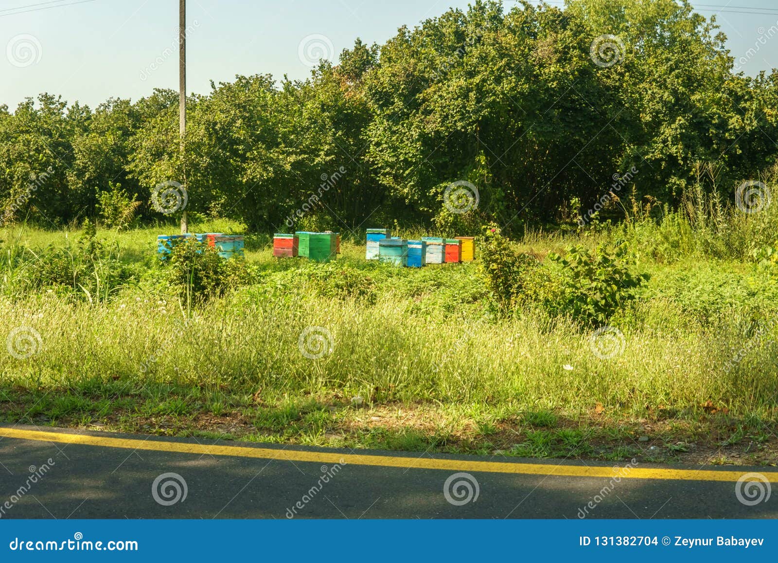 Bee Hives in the Fields and Green Trees in Background. Stock Photo ...