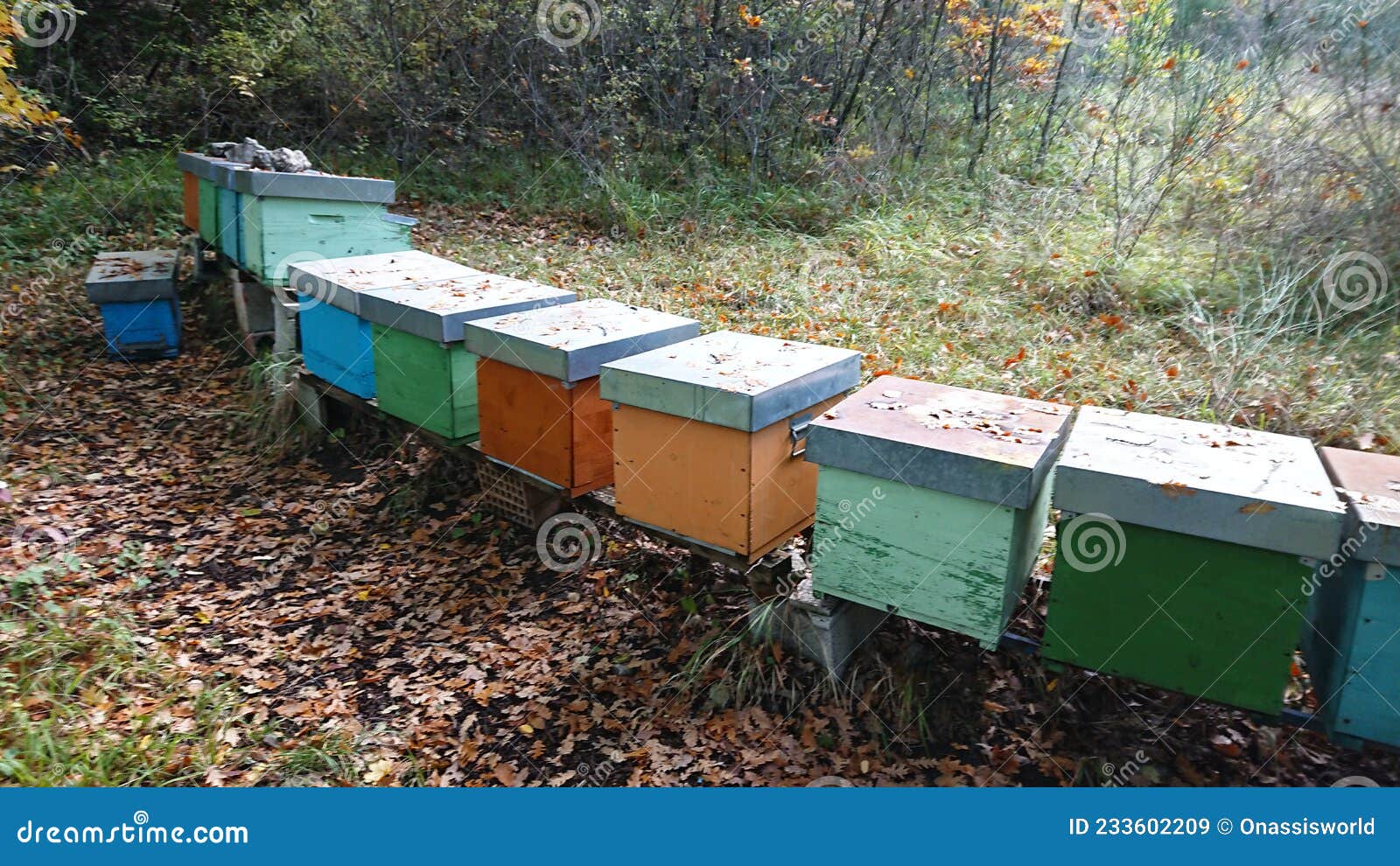 Bee Hives. Honey Industry stock image. Image of honey - 233602209