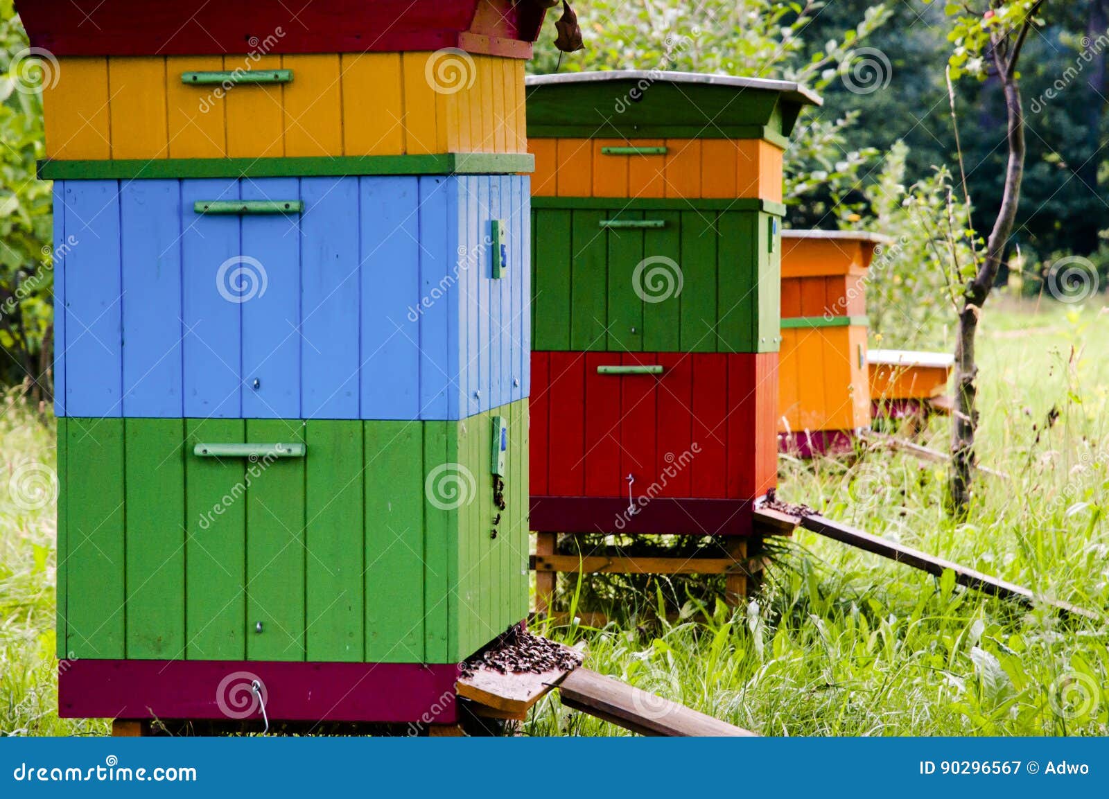 Bee Hives - Poland stock image. Image of wood, natural - 90296567
