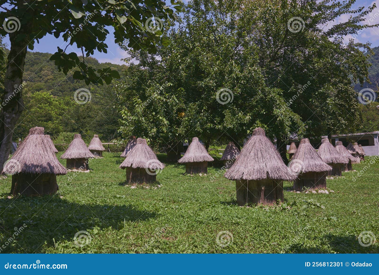 Bee Hives with Thatched Roofs Stand in Rows among the Trees. Stock ...