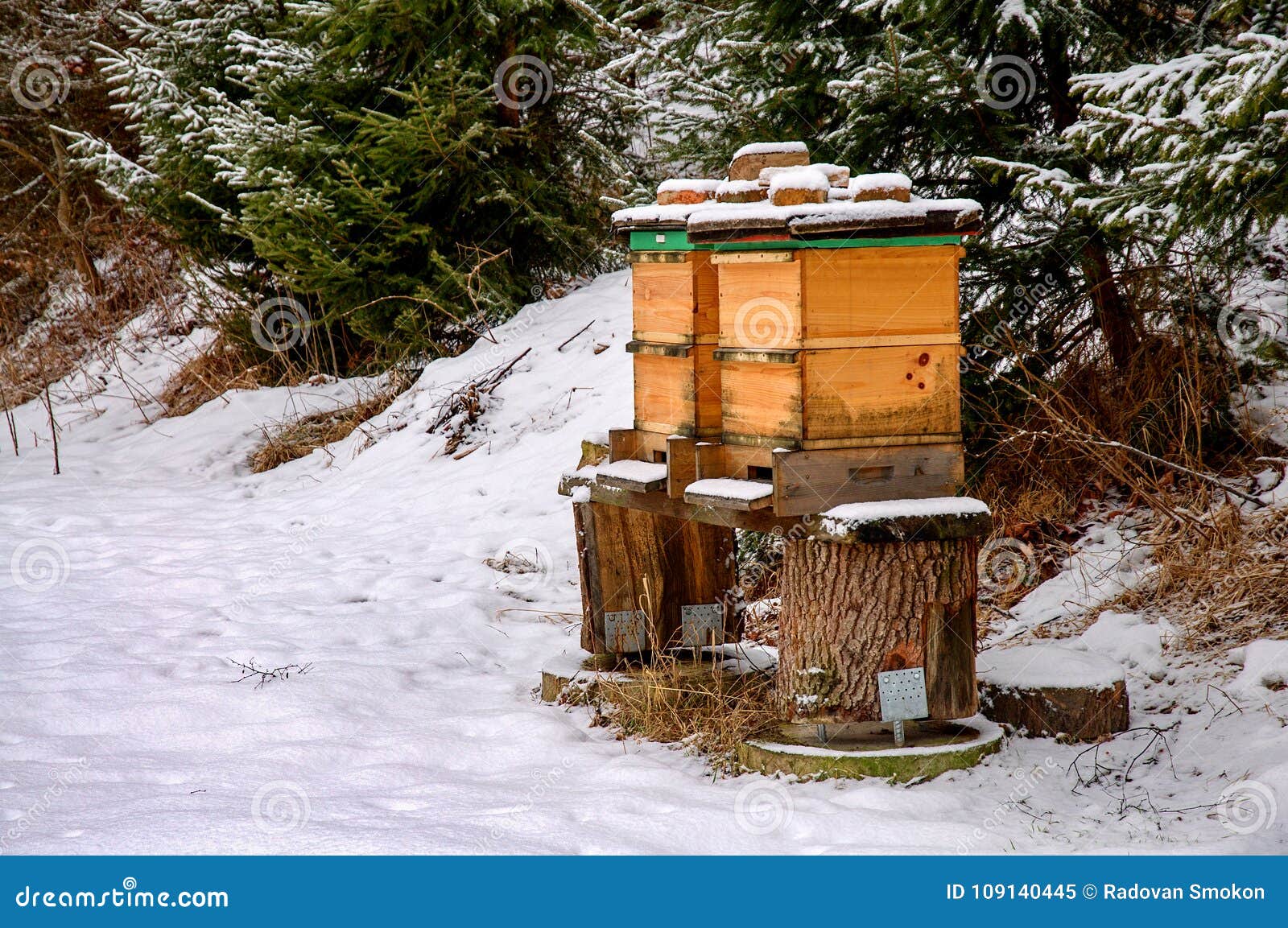 Bee hives in winter stock image. Image of temperature - 109140445