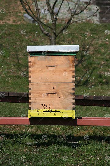 Bee home stock image. Image of wood, nature, stump, honey - 9428861