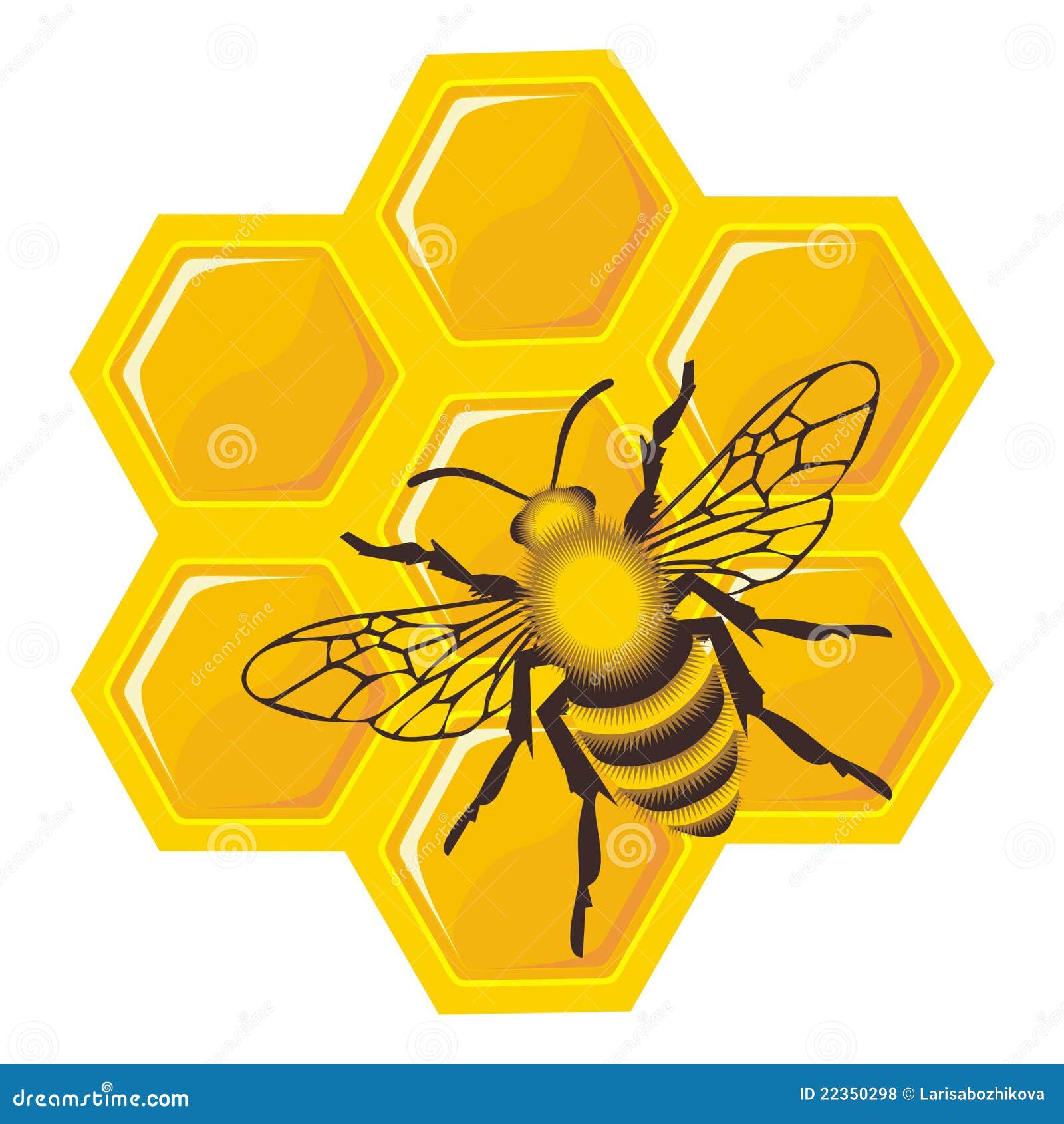 Bee on honey cells stock illustration. Illustration of eating - 22350298