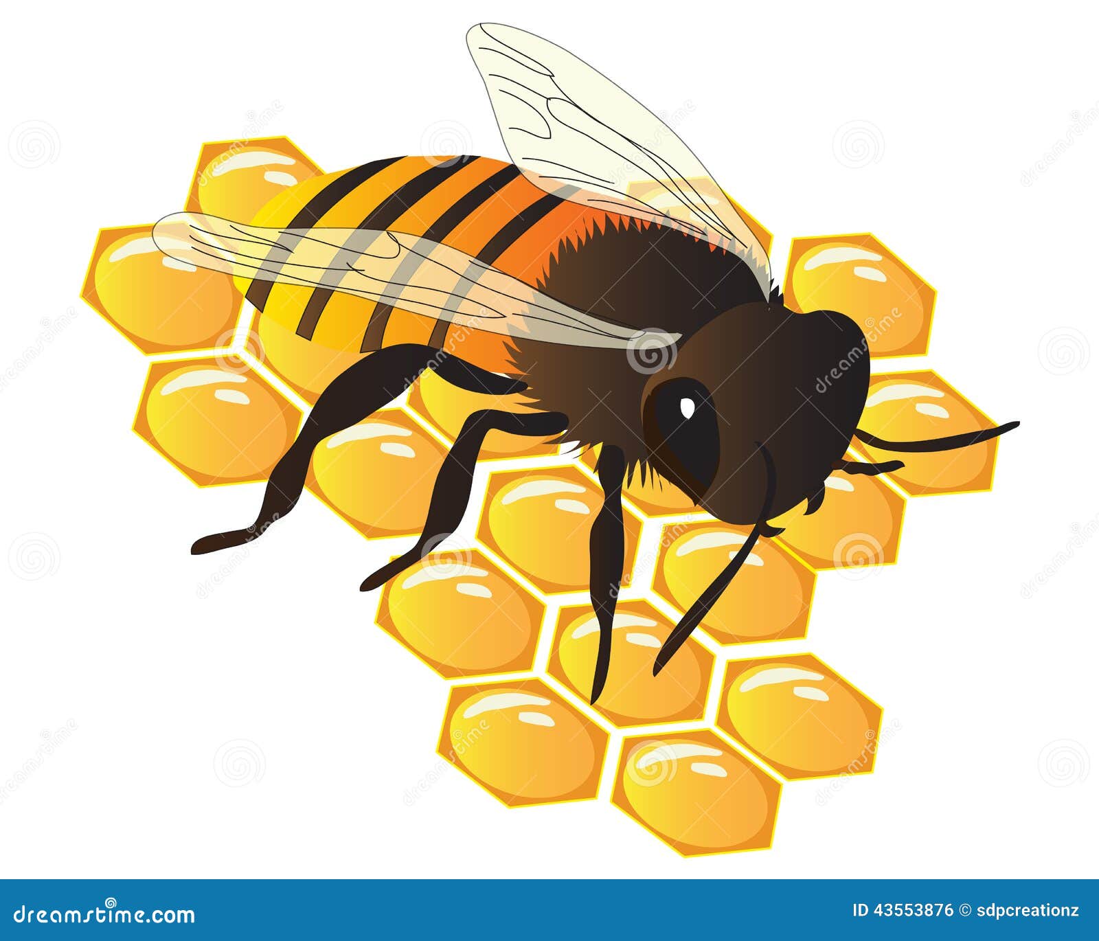 Bee on the Honey Comb stock vector. Illustration of honied - 43553876 Bee on the Honey Comb stock vector. Illustration of honied - 43553876