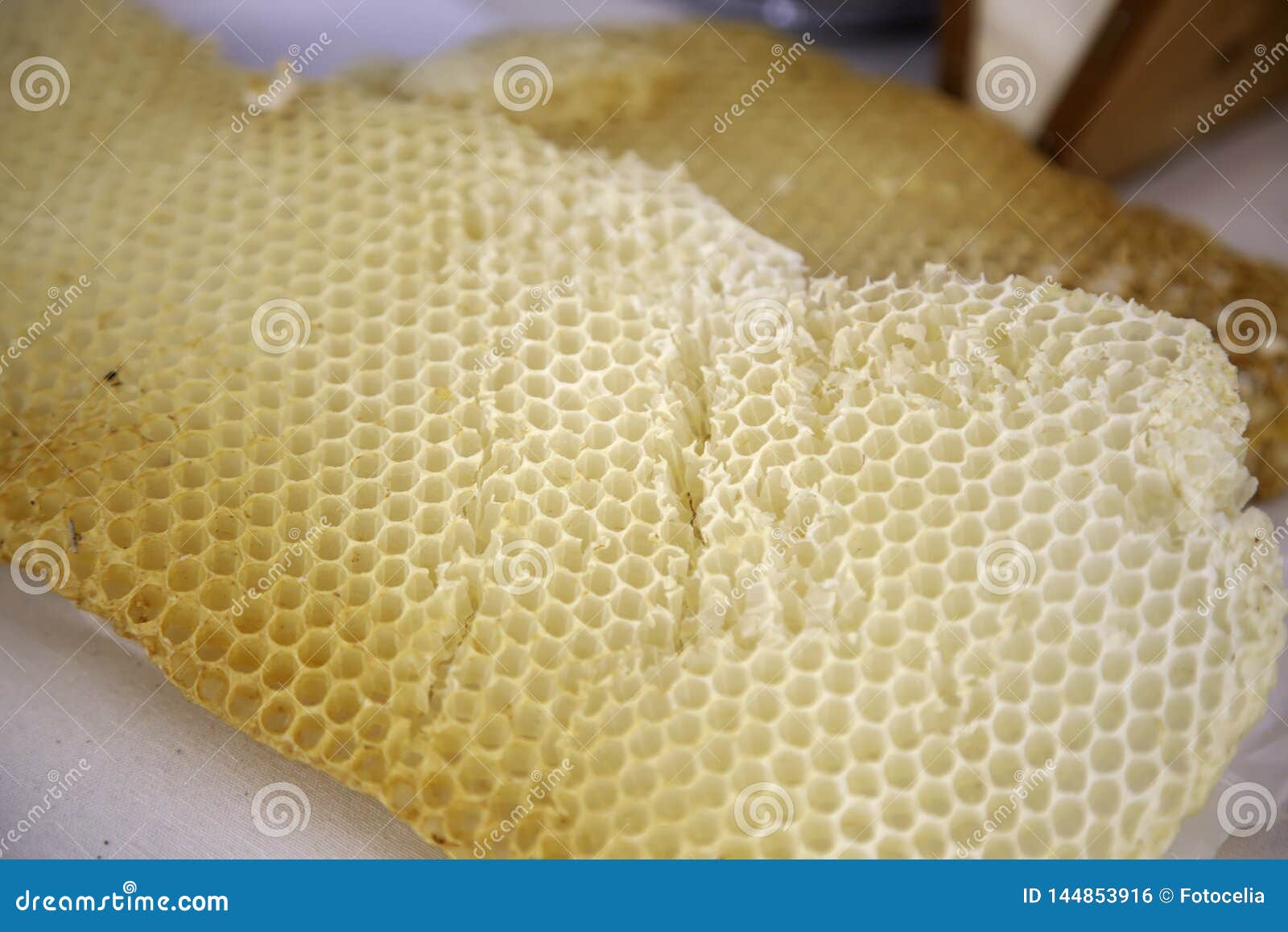 Bee honey panels stock photo. Image of material, industry - 144853916