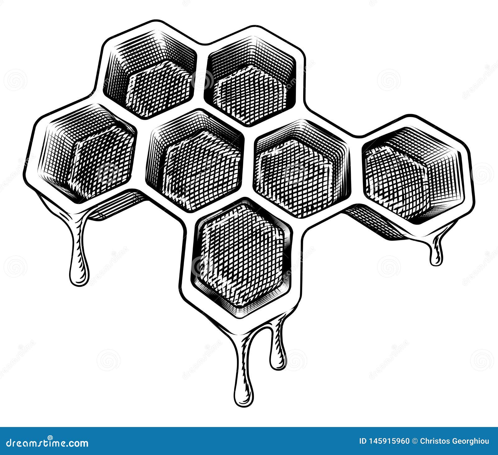 Bee Honeycomb Dripping with Honey Vintage Style Stock Vector ... Bee Honeycomb Dripping with Honey Vintage Style Stock Vector ...