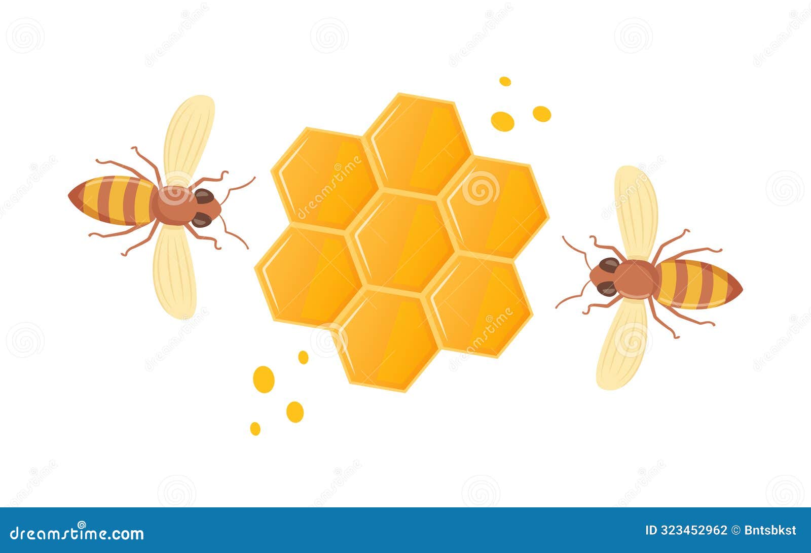 Hexagon Natural Honey Struct. Bee Honeycomb. Insects And Honey. Vector ...
