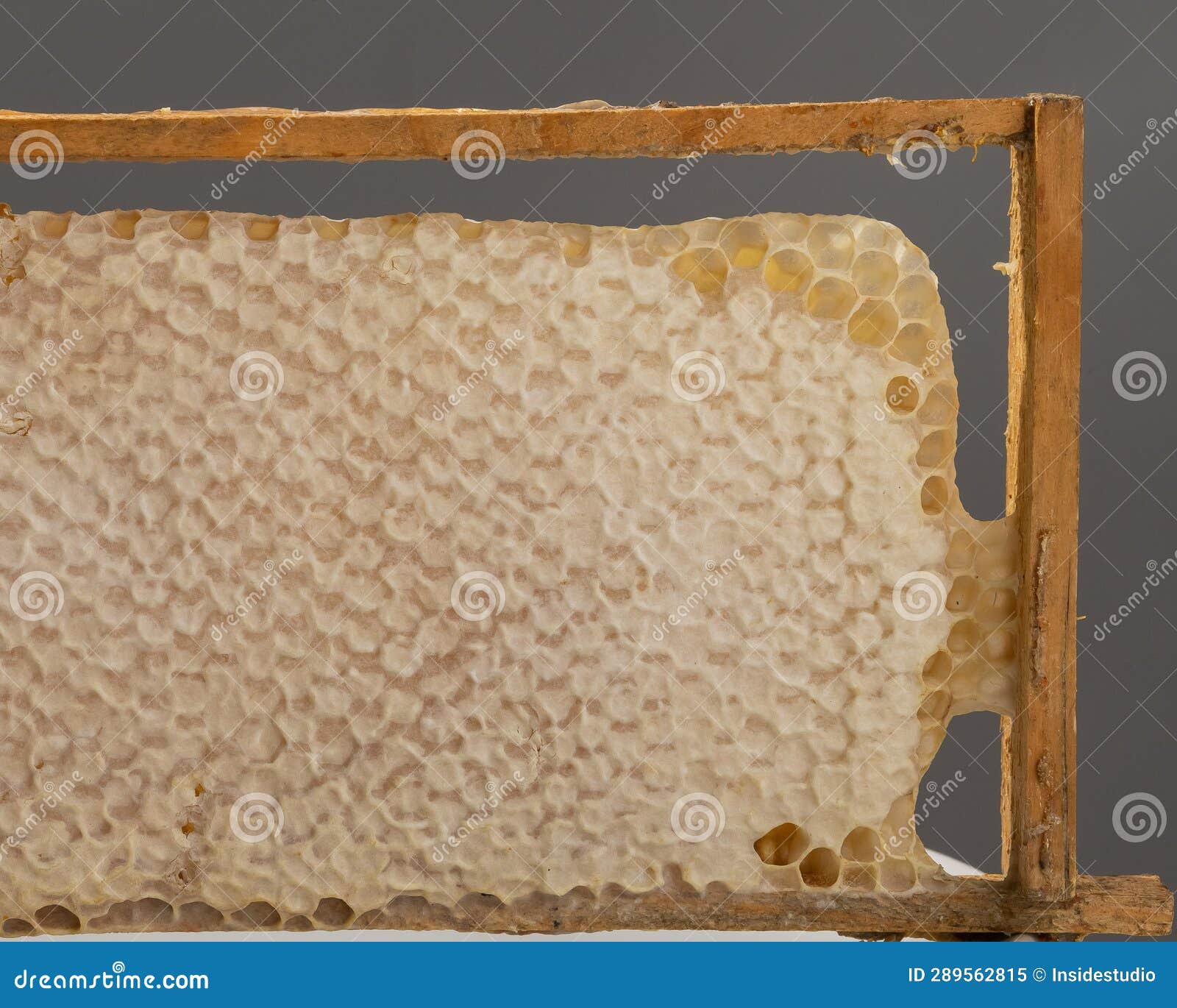 Bee Honeycomb with Honey in a Wooden Frame. Stock Image - Image of ...