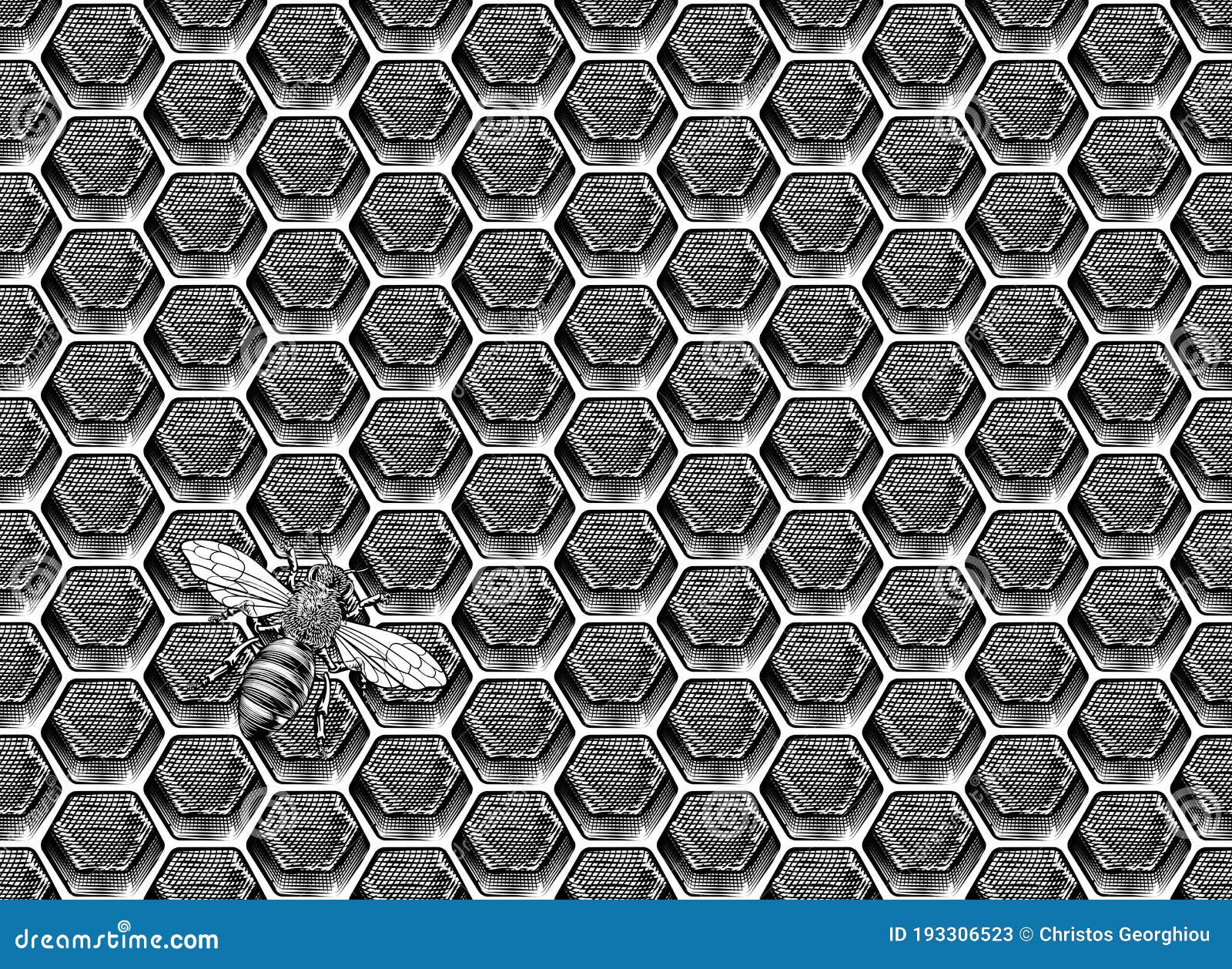 Bee Honeycomb Pattern Background Honey Drawing Cartoon Vector ...