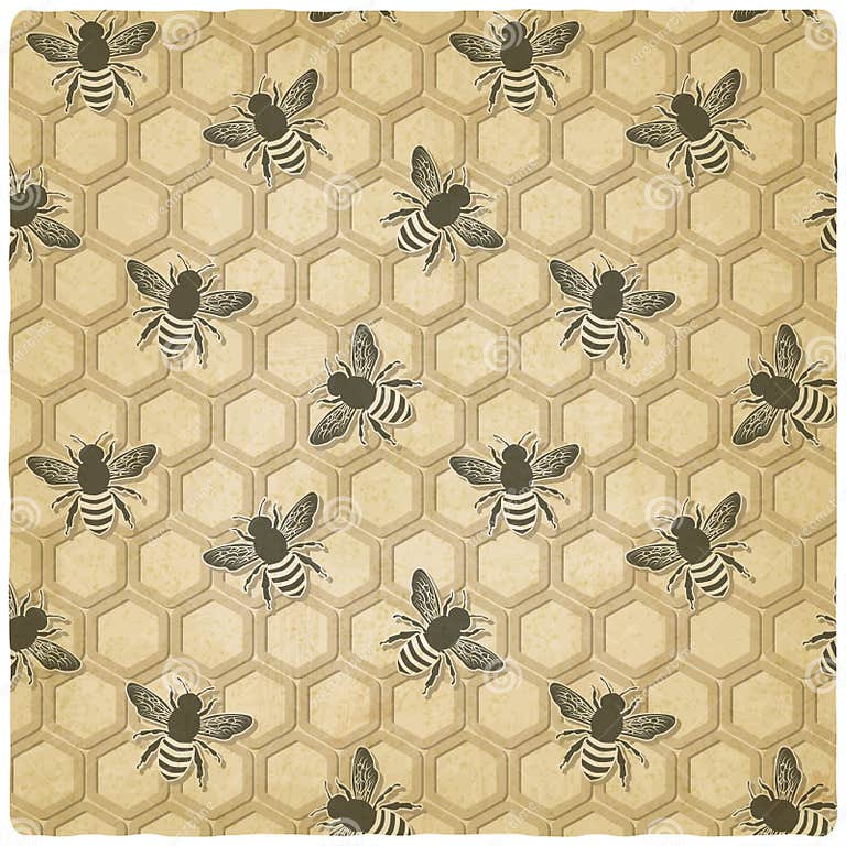 Bee honeycomb pattern stock vector. Illustration of food - 47278105