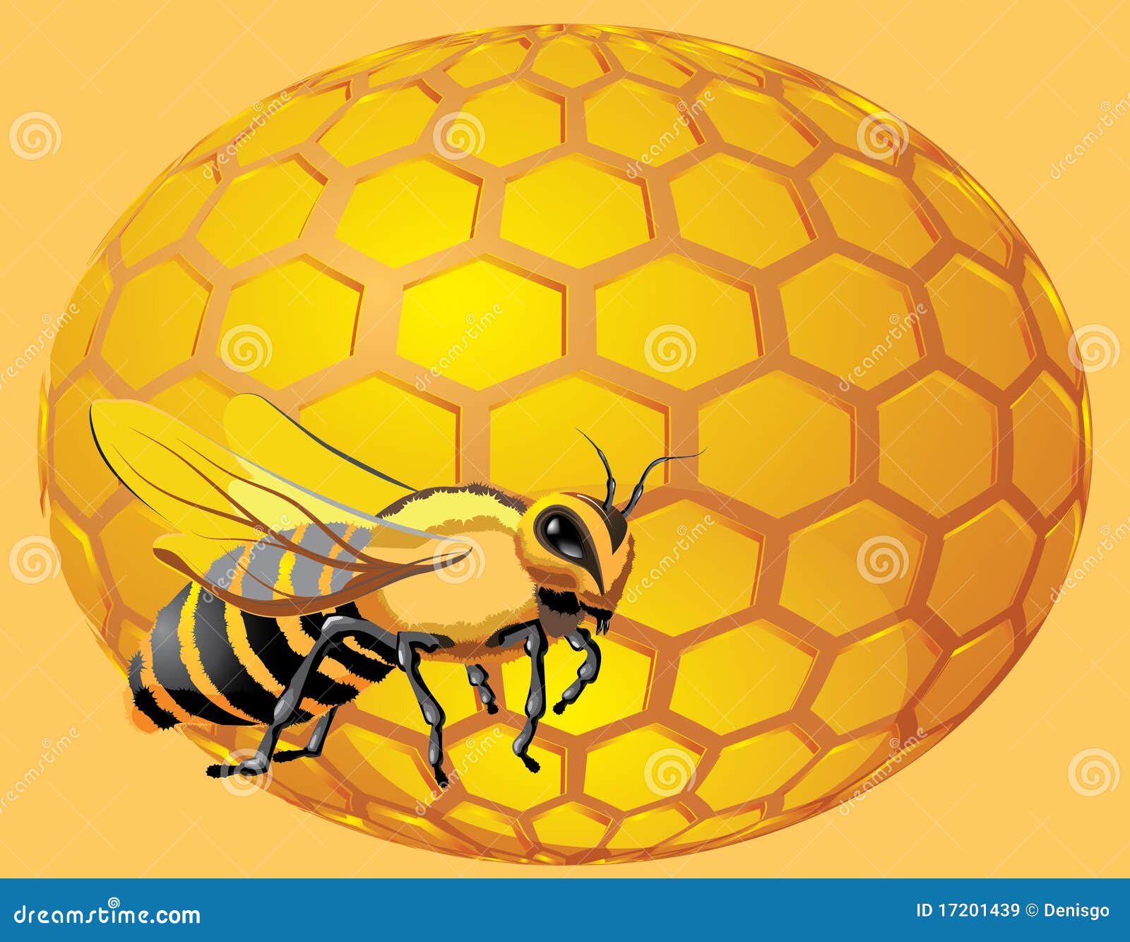Bee with honeycomb sphere stock vector. Illustration of insects - 17201439