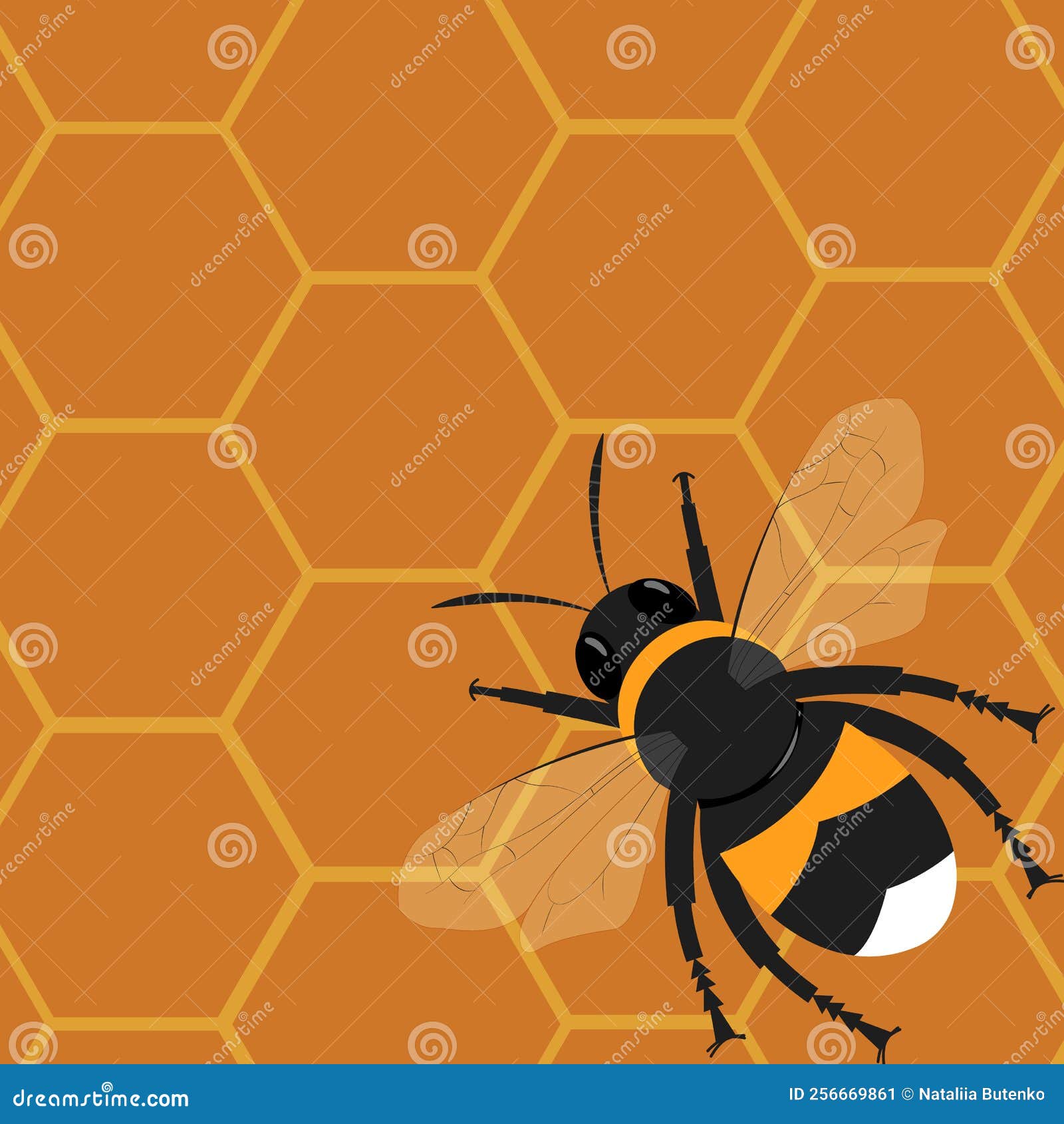 Bee on a honeycomb stock vector. Illustration of decorative - 256669861