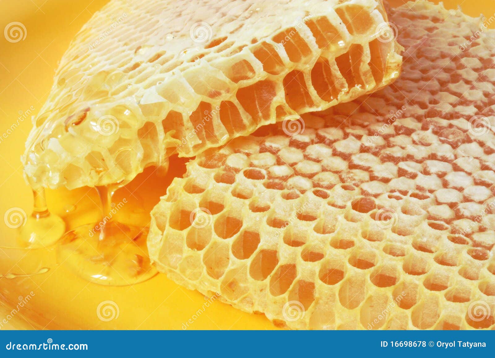 Bee honeycombs stock photo. Image of natural, sweet, beeswax - 16698678