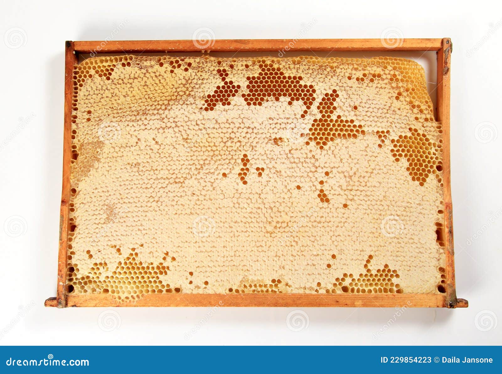Bee Honeycombs in a Frame on a White Background. Honeycombs in a Wooden ...
