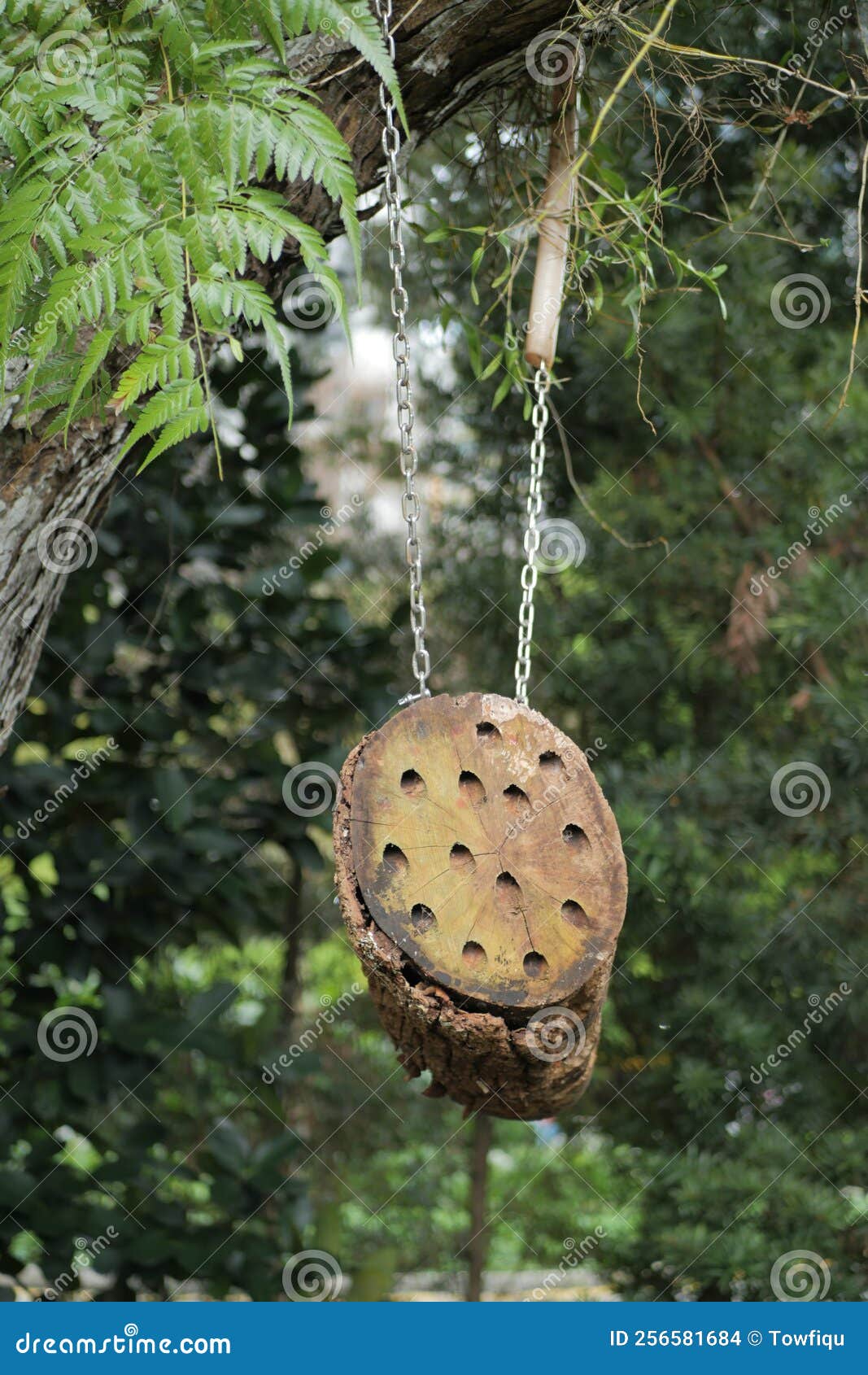 A Bee Hotel, Insect Hotel on the Tree Stock Photo - Image of ladybugs ...