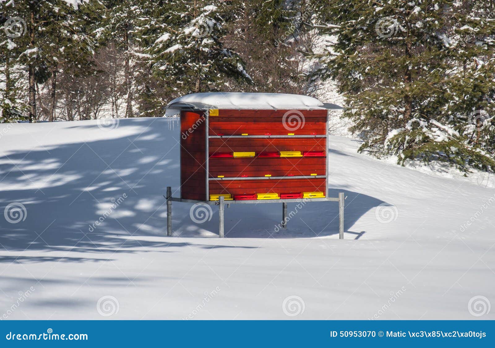 Bee house in snow. stock photo. Image of rakitna, slovenija - 50953070