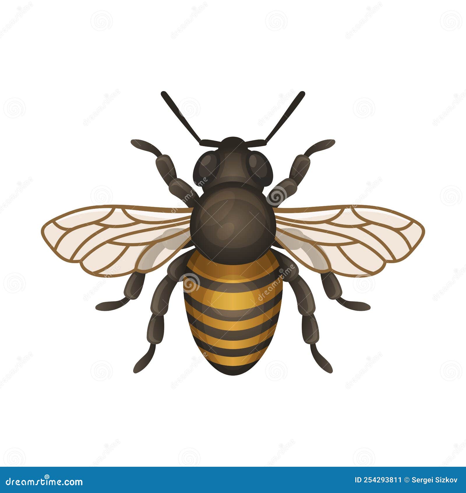 Bee Icon. Bug Logo on White Background Stock Vector - Illustration of ... Bee Icon. Bug Logo on White Background Stock Vector - Illustration of ...