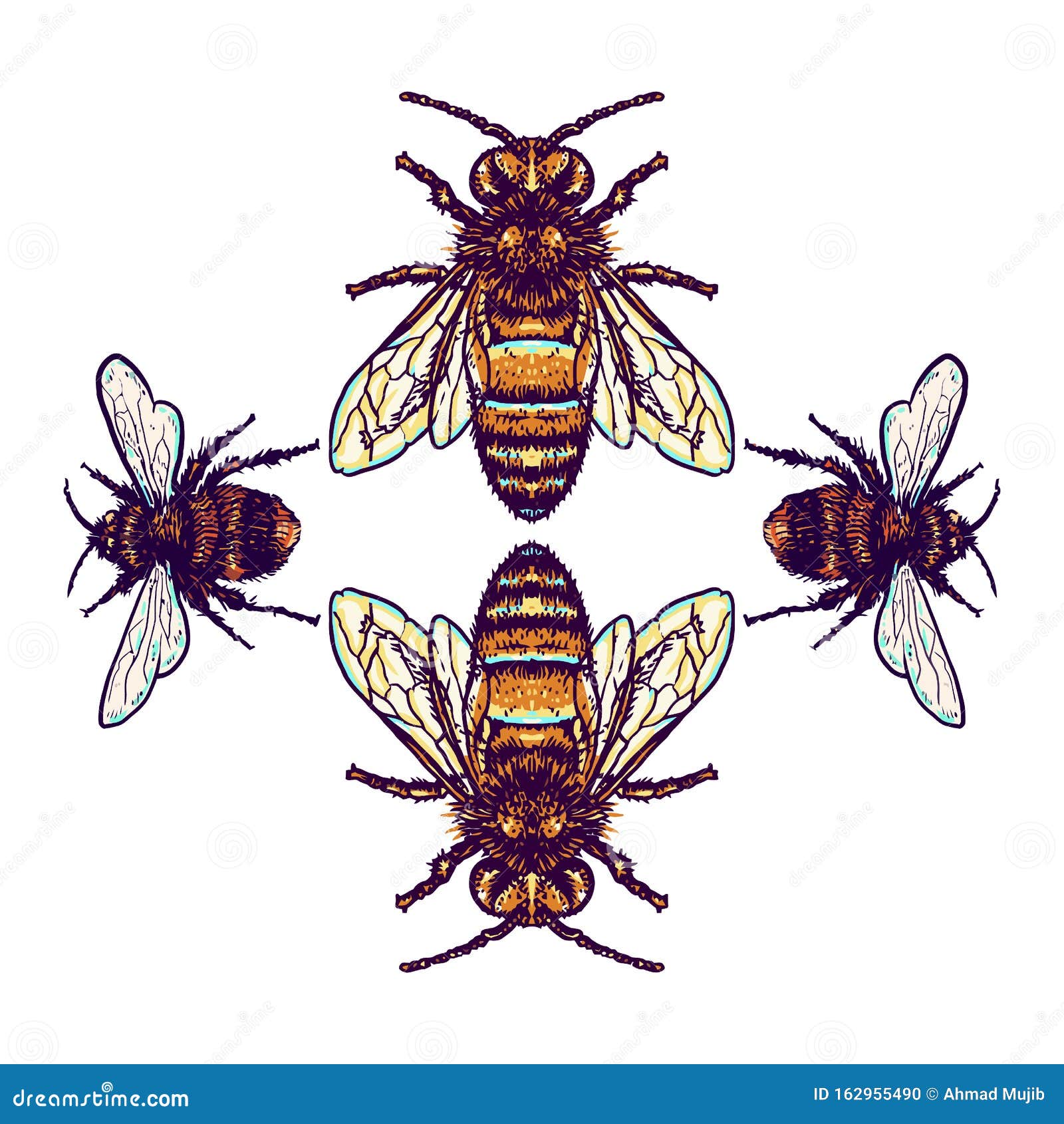 Bee Illustration Using a Hand Drawing Style Stock Vector - Illustration ...