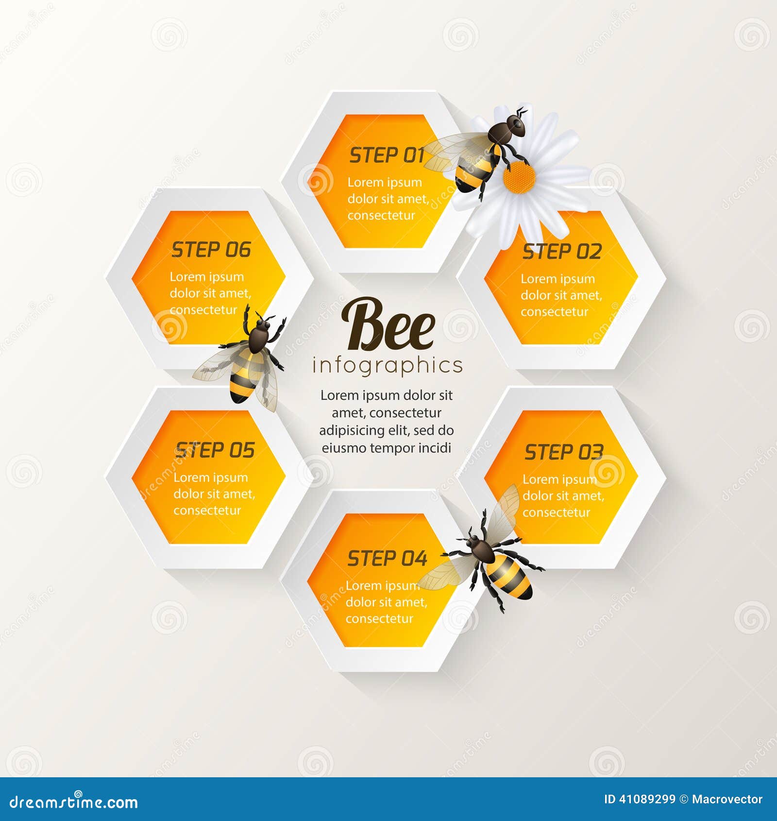 Bee infographics steps stock vector. Illustration of camomile - 41089299