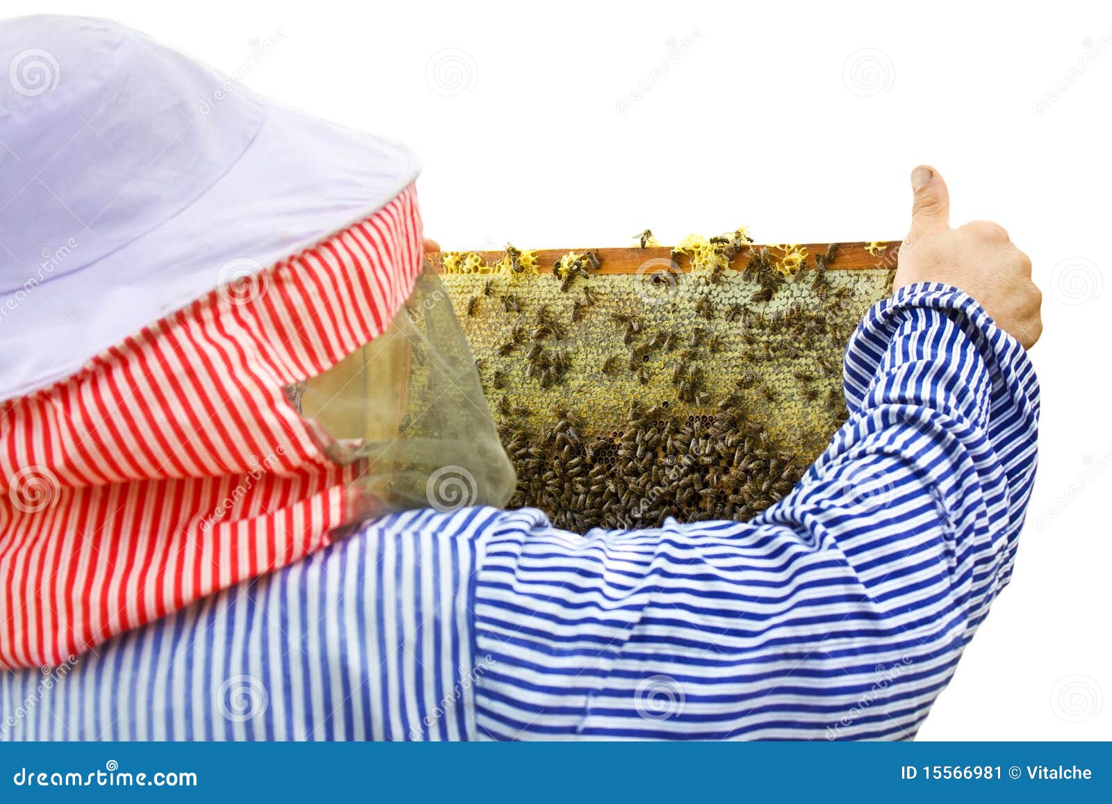 Bee-keeper stock image. Image of business, insects, beehive - 15566981