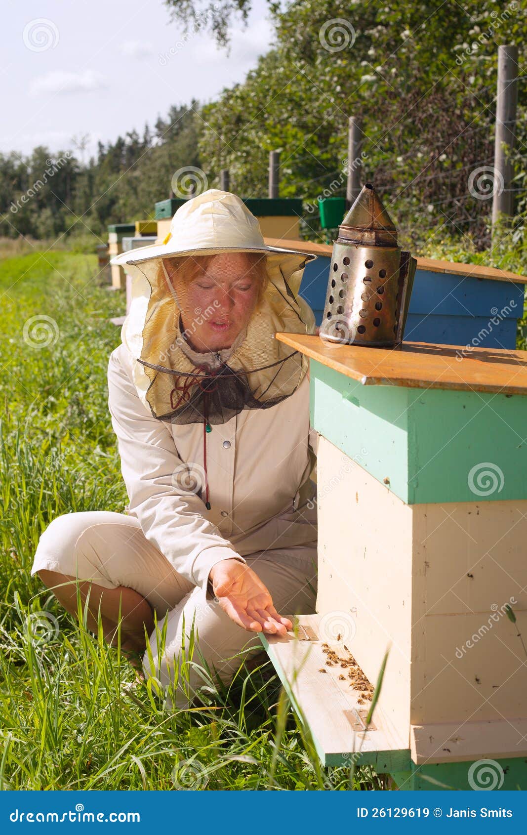 Bee keeper. stock image. Image of farm, green, insects - 26129619