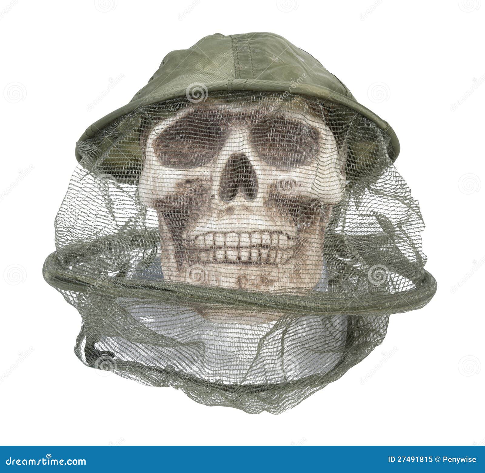 Bee Skull Stock Photos - Free & Royalty-Free Stock Photos from Dreamstime