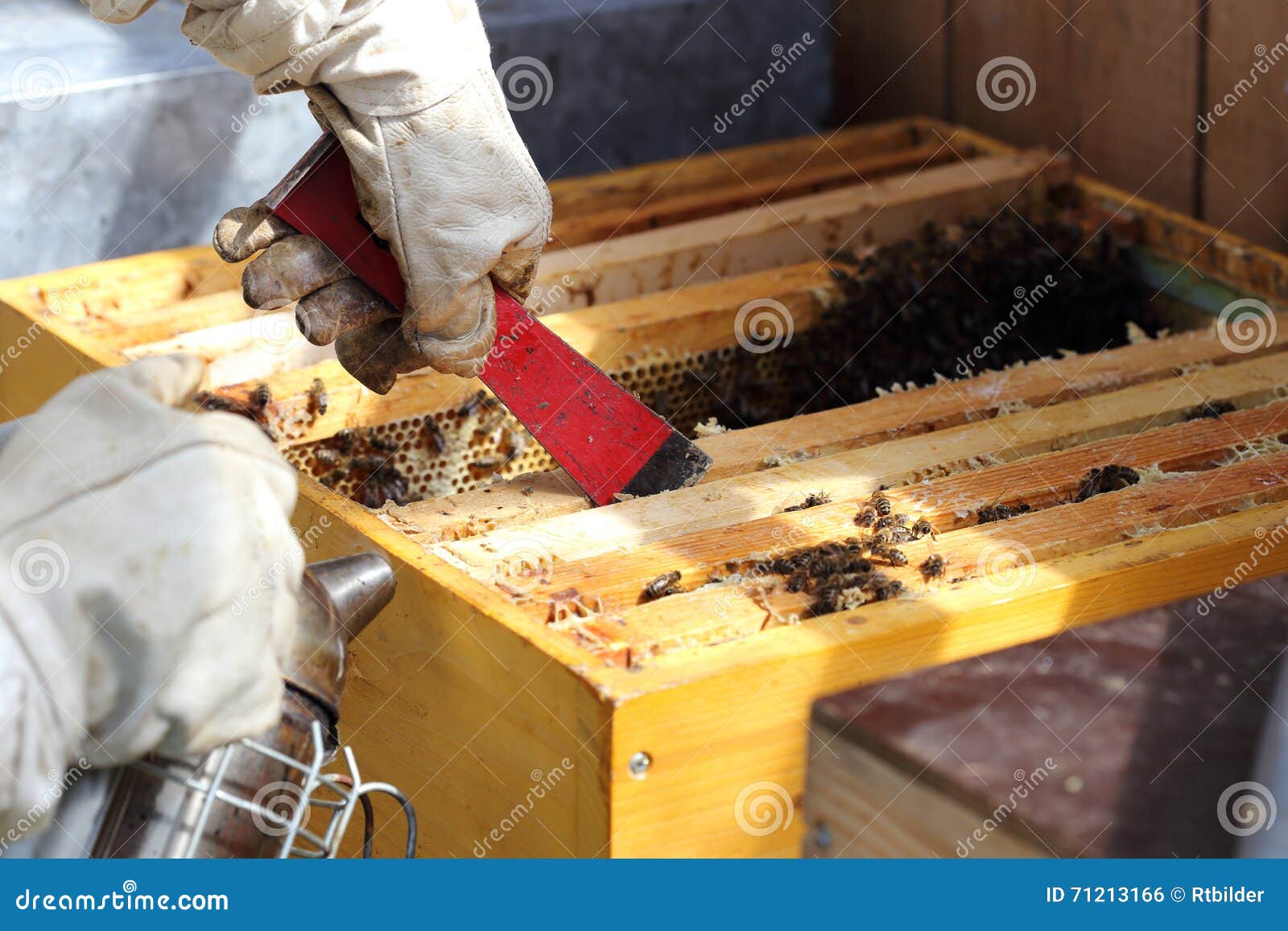 Bee keeper and hive stock photo. Image of health, home - 71213166