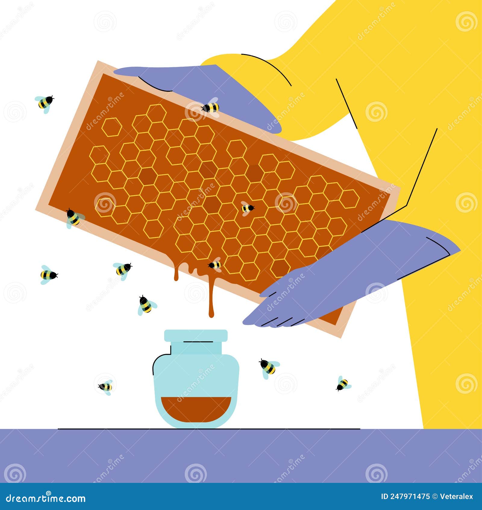 Bee-keeper Holding Honey Cells, Caring Bees. Apiary Concept, Honey ...