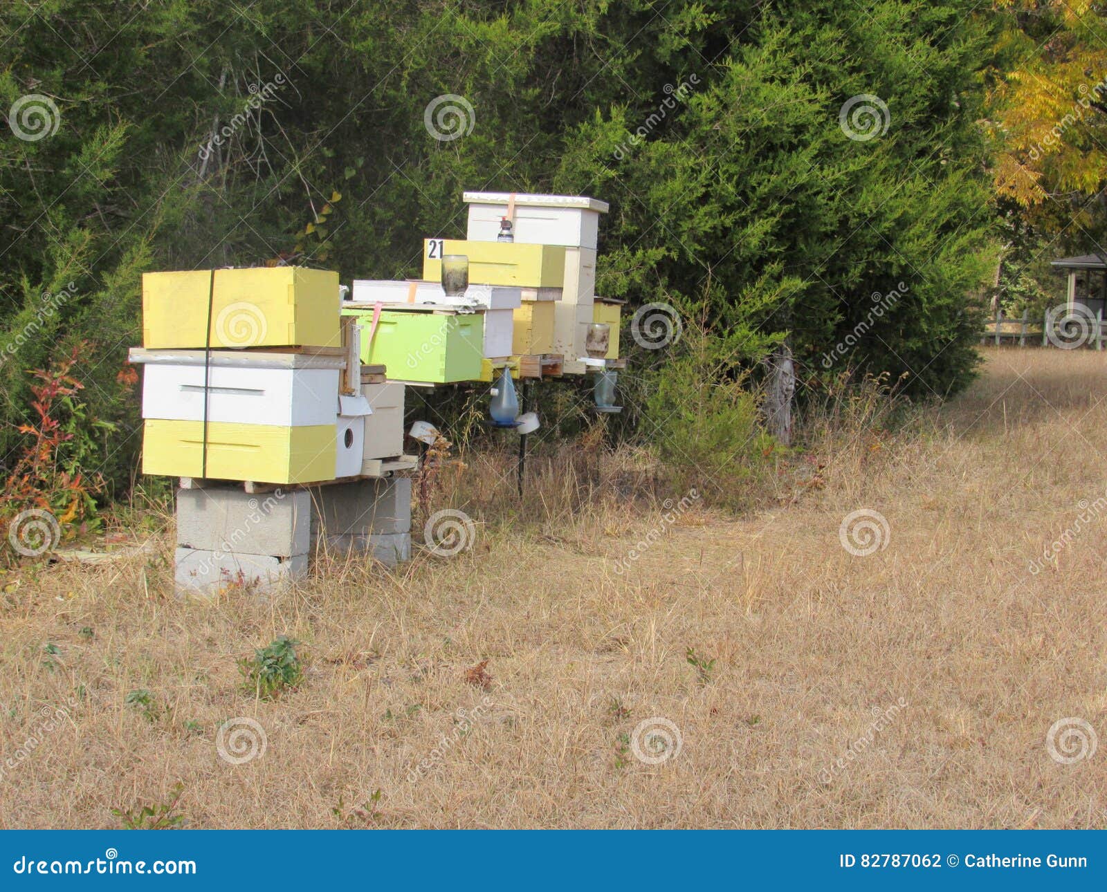 Bee Keeper stock photo. Image of country, keeper, houses - 82787062