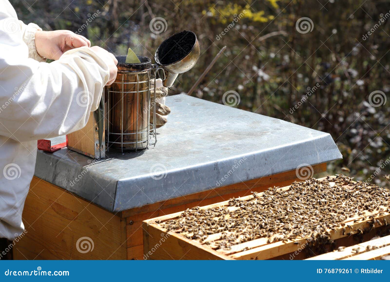 Bee Keeper is Preparing a Smoker Stock Image - Image of honeycomb ...