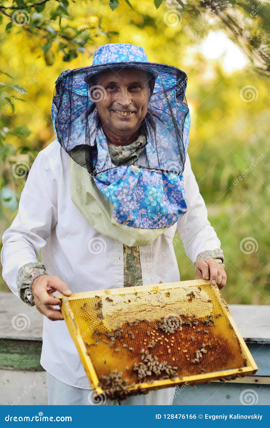 Bee-keeper Takes Out of the Beehive or Apiary the Frame for Bees Stock ...