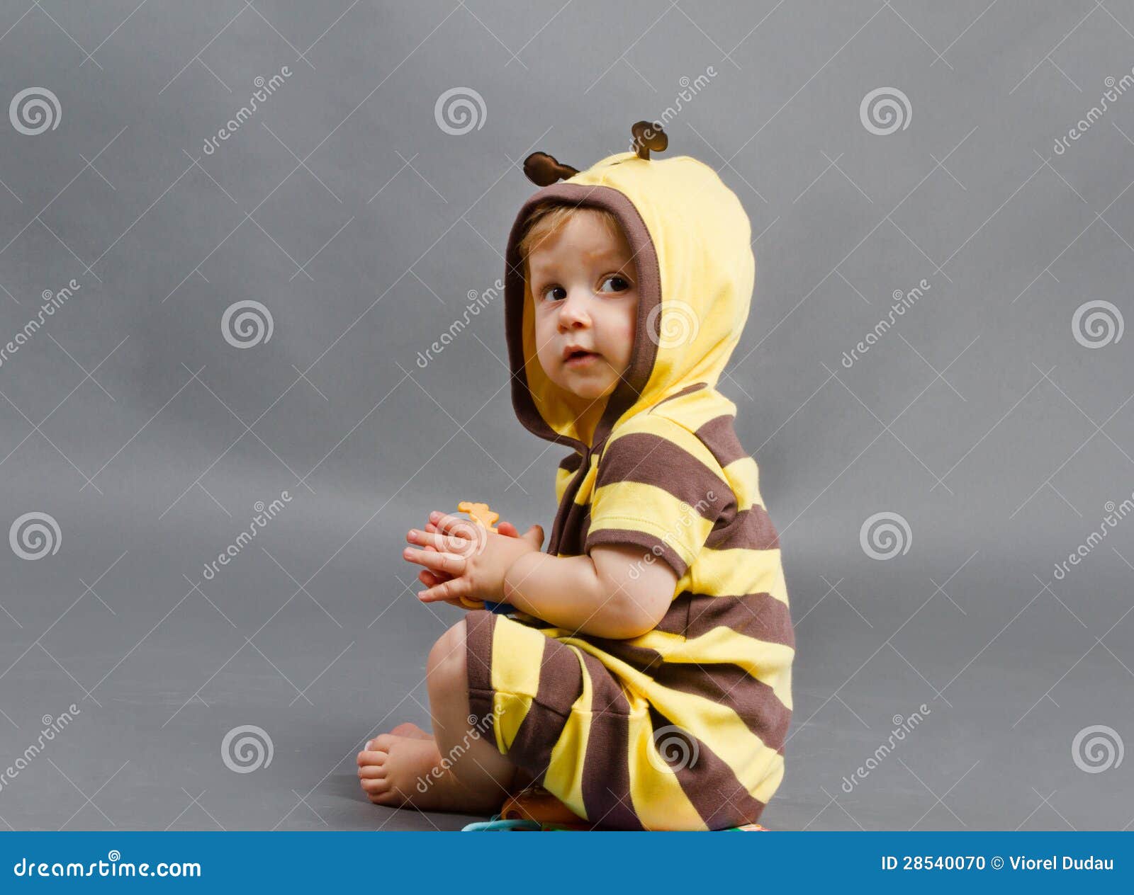 Bee kid stock photo. Image of funny, wear, costumed, studio - 28540070