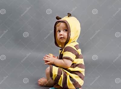Bee kid stock photo. Image of funny, wear, costumed, studio - 28540070