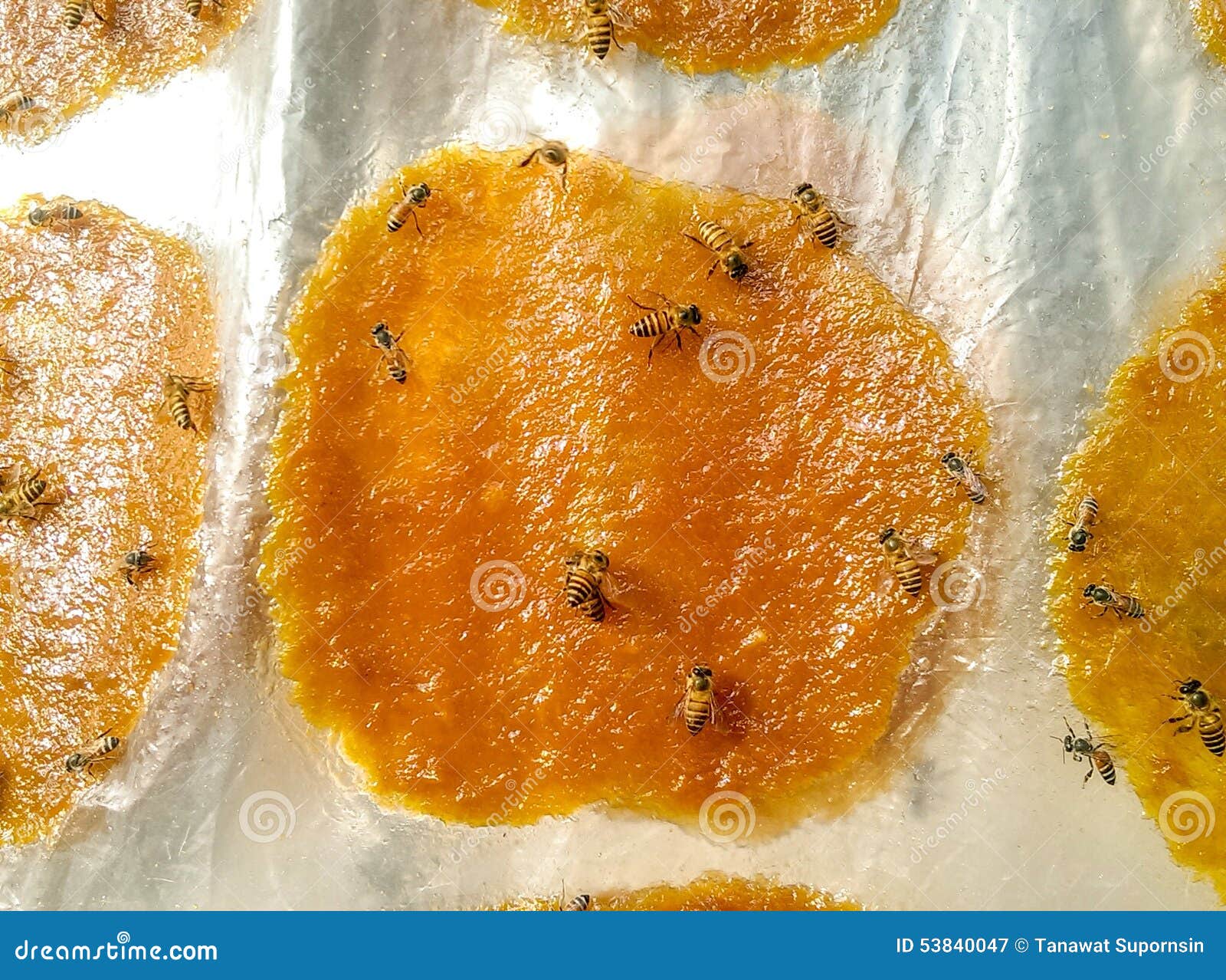 Bee on mangos jam stock image. Image of mangos, orange - 53840047