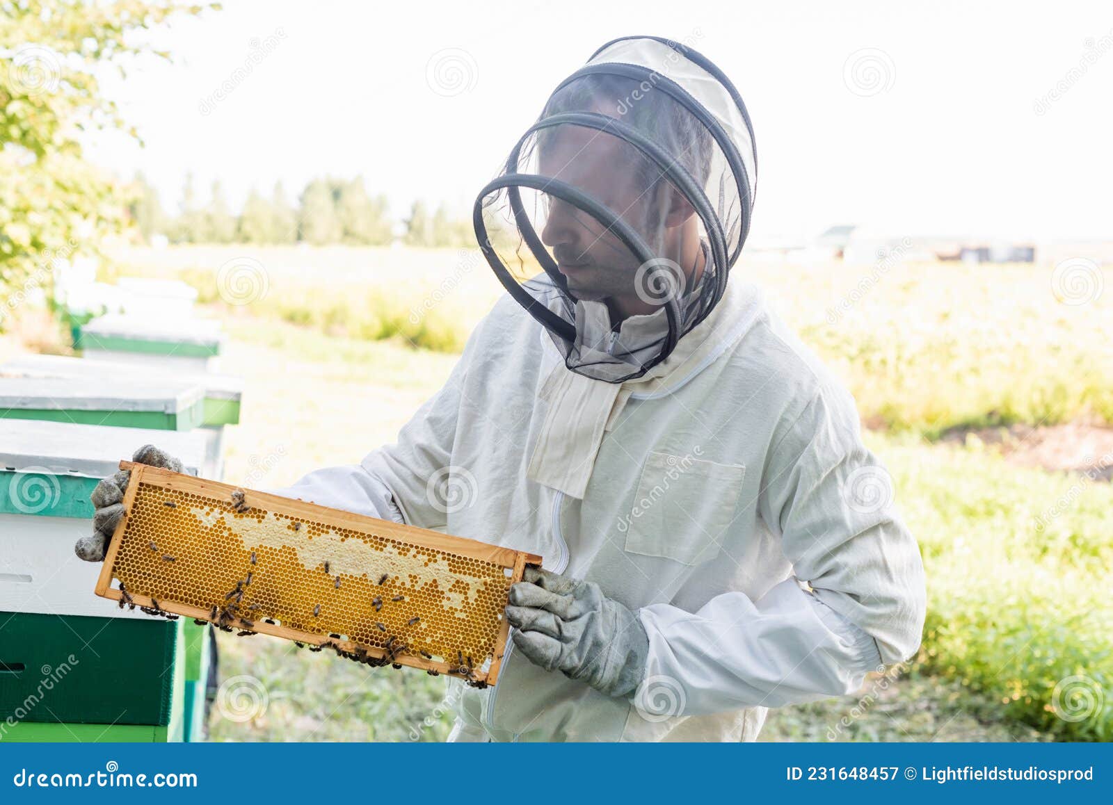 Bee Master in Beekeeping Suit Holding Stock Image - Image of safety ...